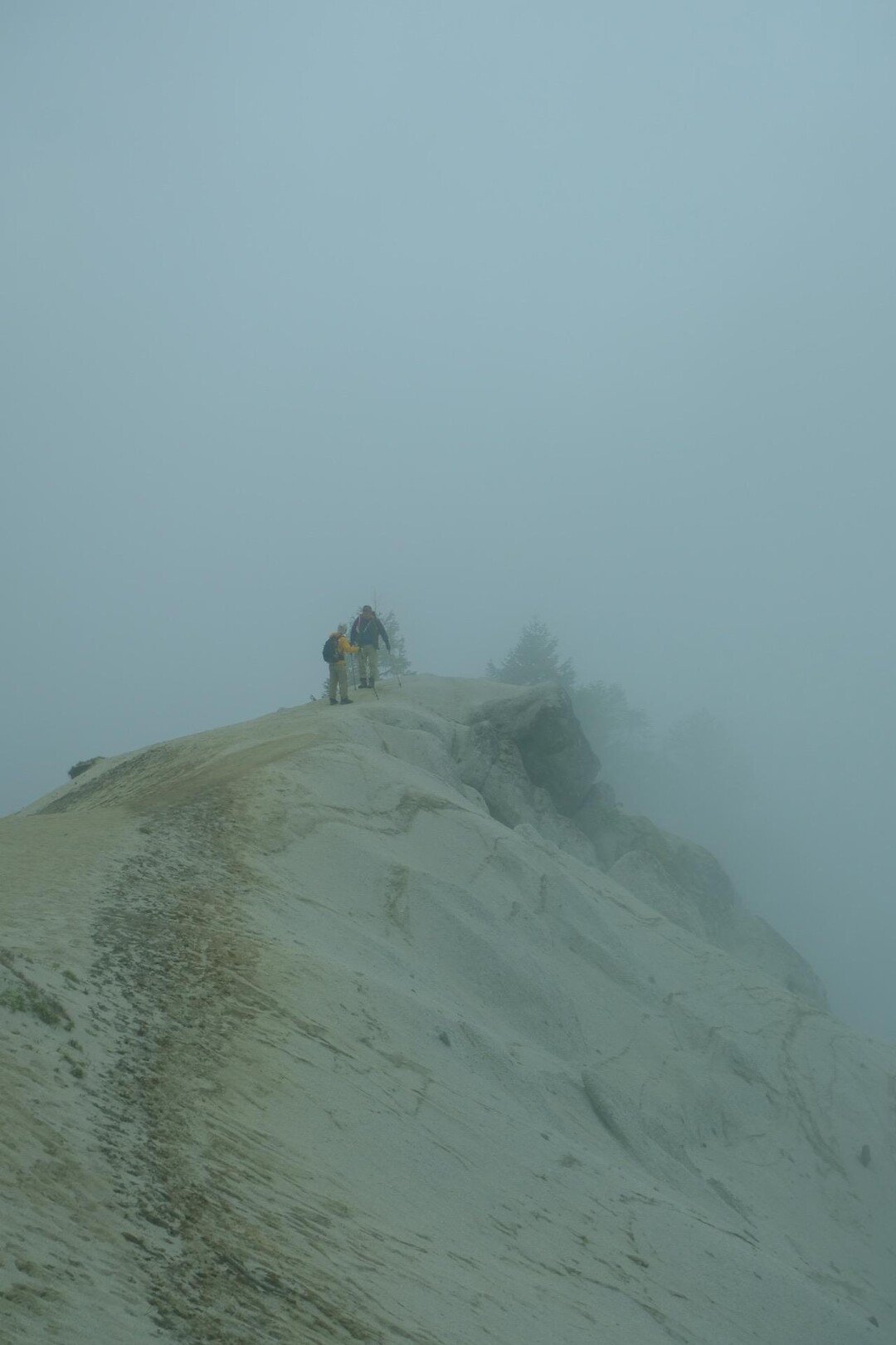 R6.5.25 日向山 真っ白け 薄いダ... / やすおさんのモーメント | YAMAP / ヤマップ