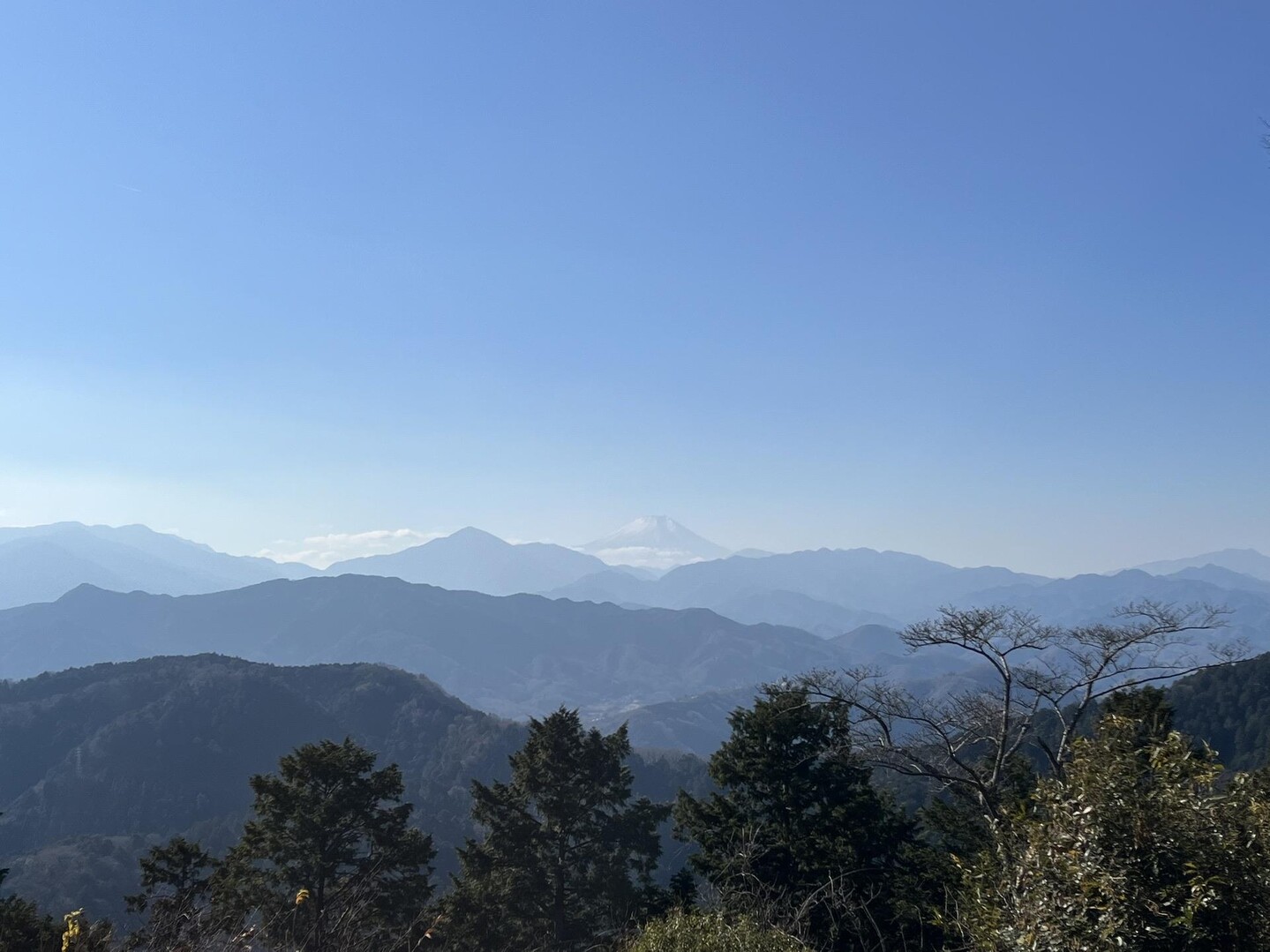 高尾山 / 山と飯 U.L.HIKEさんの高尾山・陣馬山・景信山の活動データ | YAMAP / ヤマップ