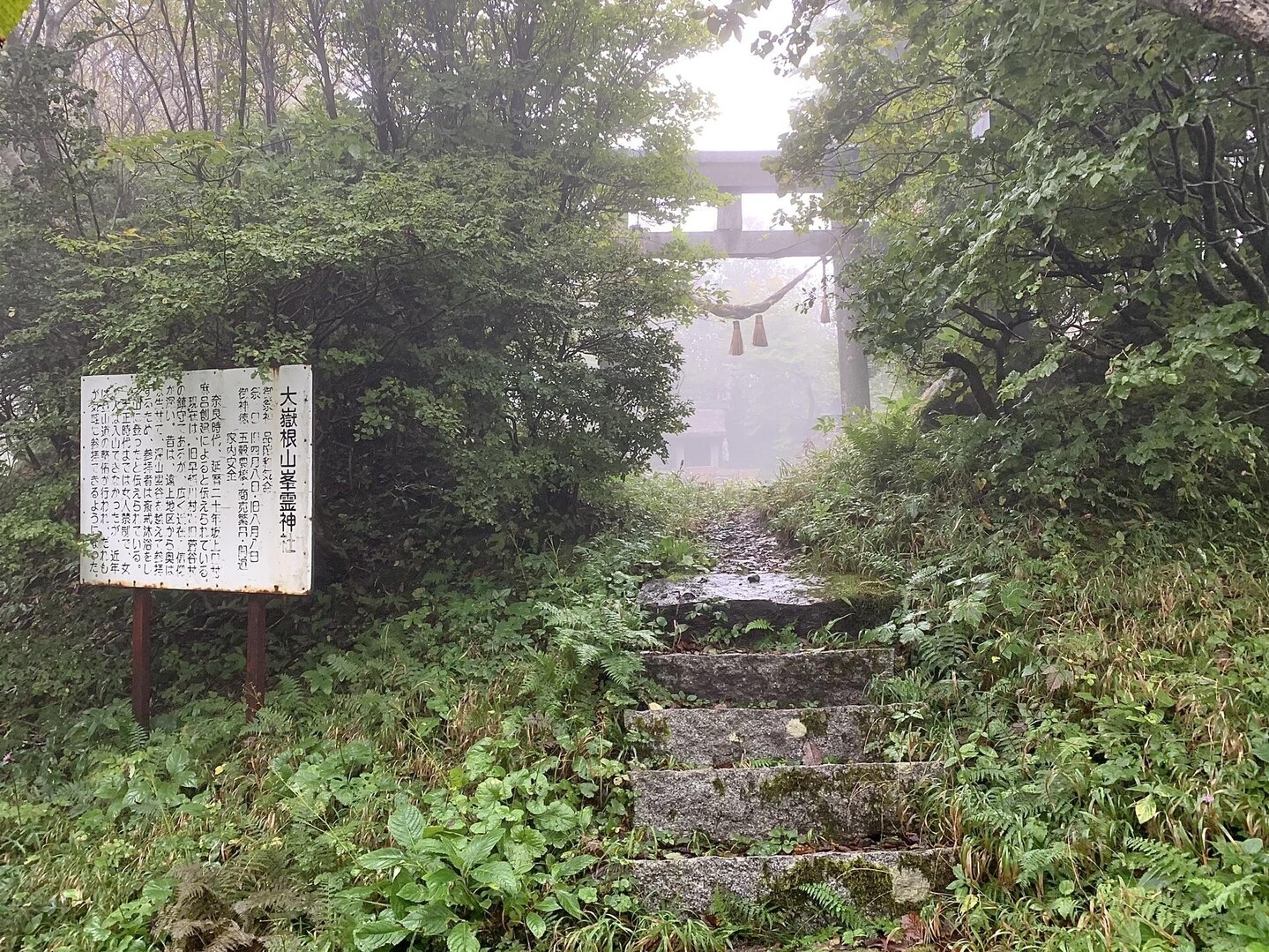 大滝根山・仙台平 / POGMOTHONさんの大滝根山の活動データ | YAMAP / ヤマップ