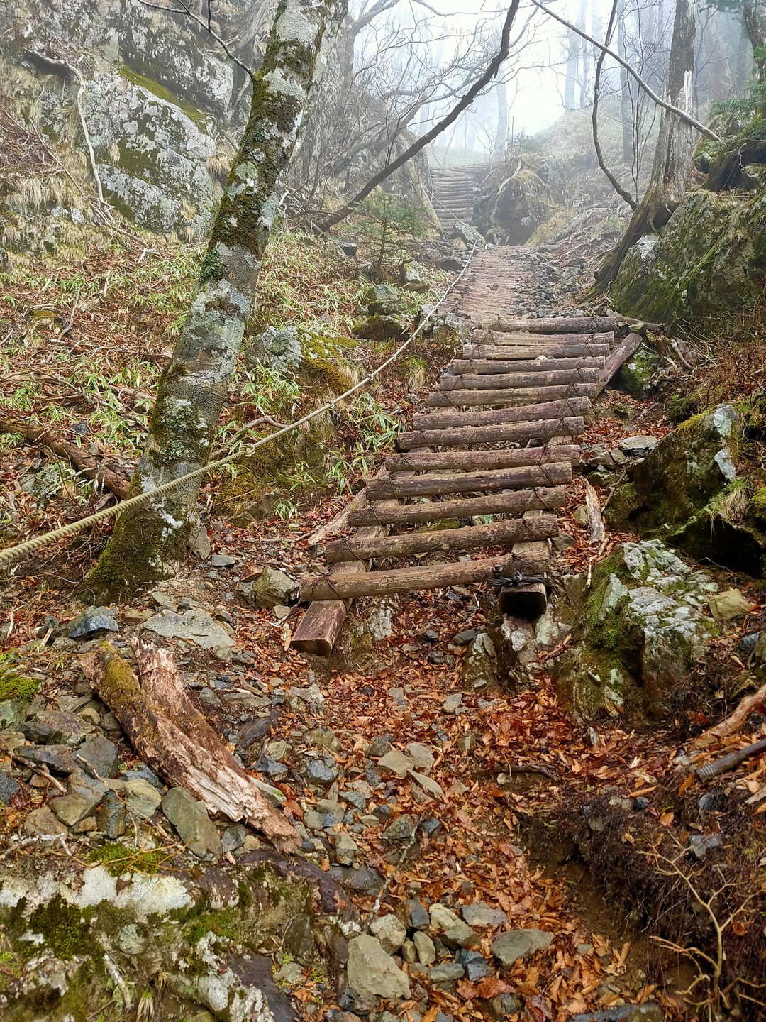 matahari88さんの投稿したフィールドメモ | YAMAP / ヤマップ