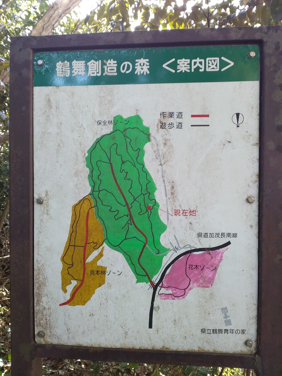 創造の森 野鳥観察 / Kawamawashiさんの笠森グリーンルートの活動データ | YAMAP / ヤマップ