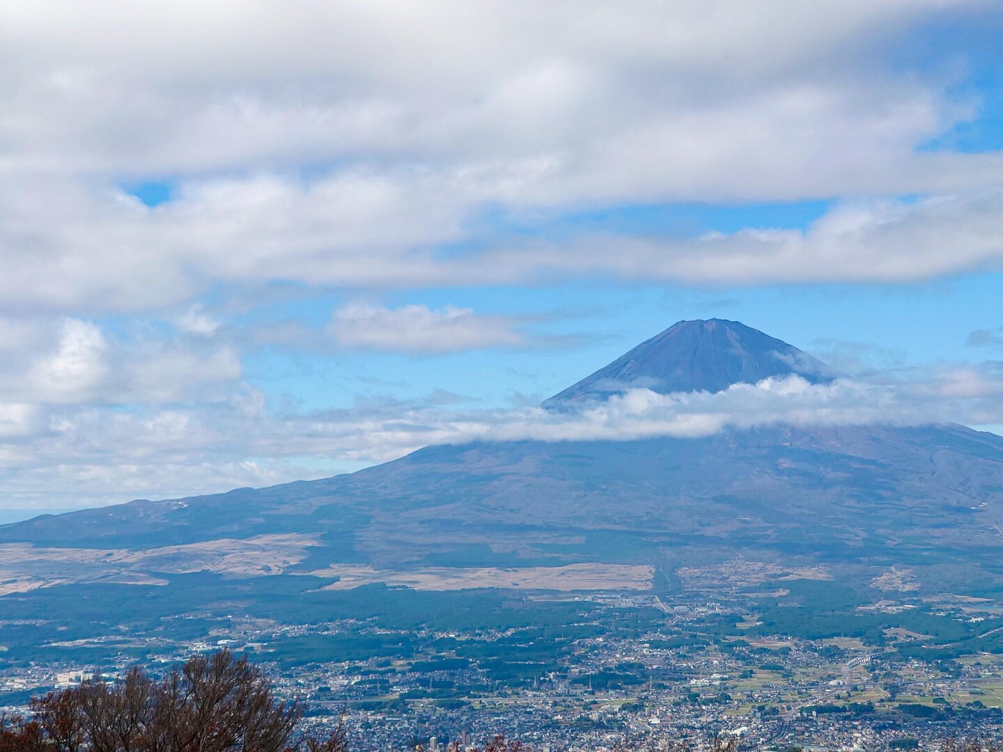 金時山・長尾山 / talviさんの金時山・明神ヶ岳の活動データ | YAMAP / ヤマップ