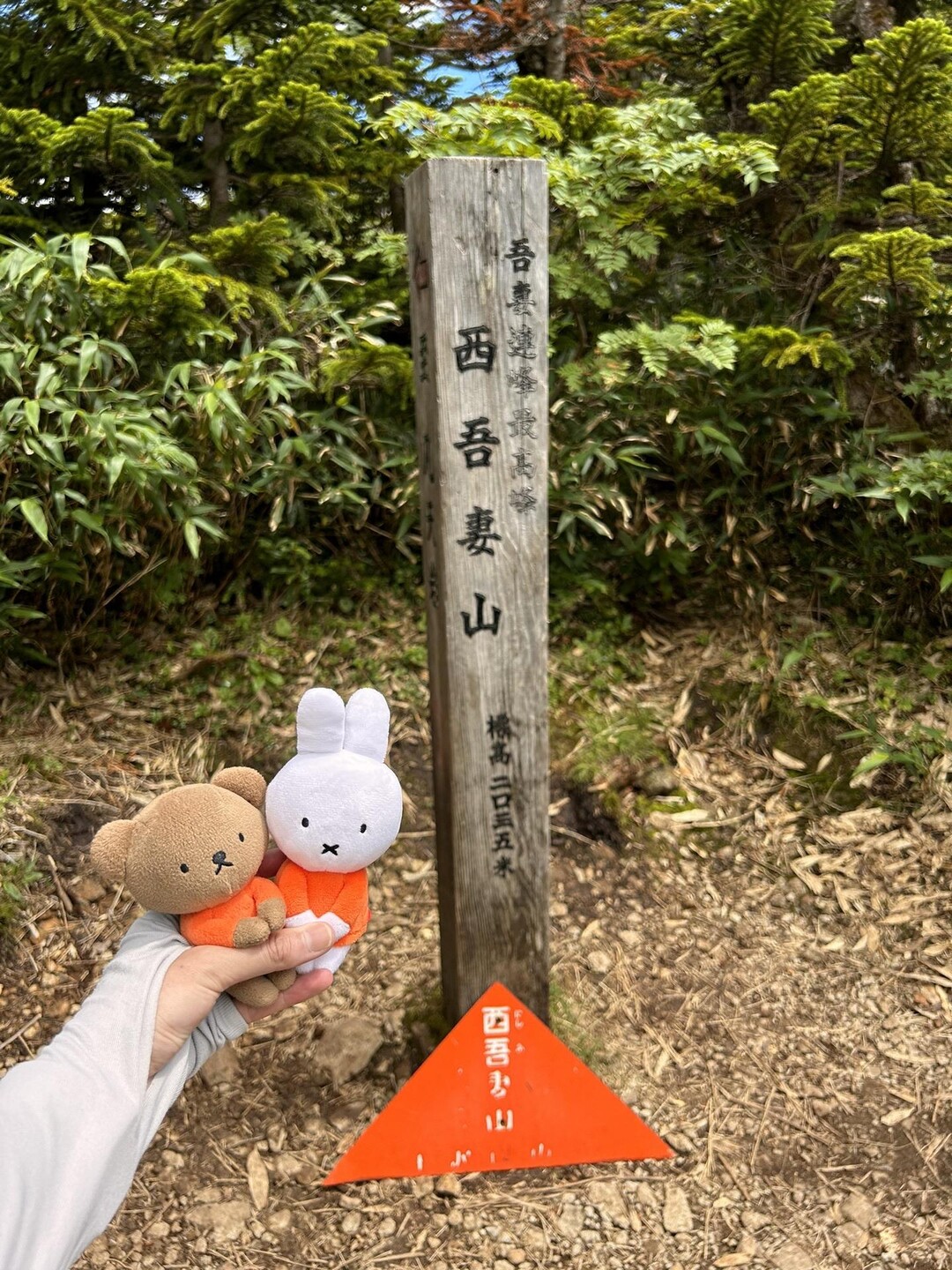 西大巓・西吾妻山 / さきさんの吾妻山・一切経山の活動データ | YAMAP / ヤマップ