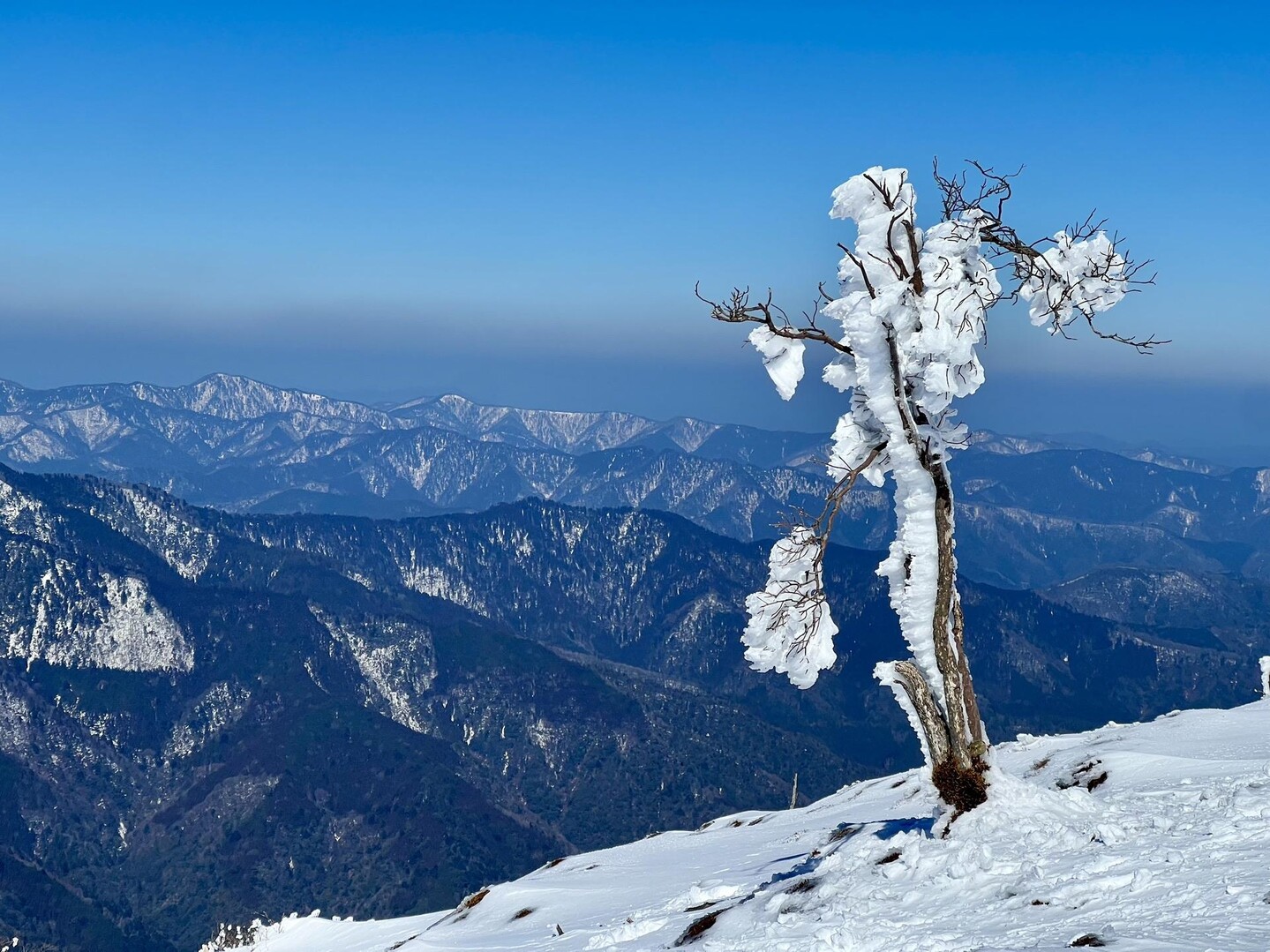 御殿山・武奈ヶ岳 / Sa_kkiyさんの比良山地・武奈ヶ岳・釈迦岳の活動データ | YAMAP / ヤマップ
