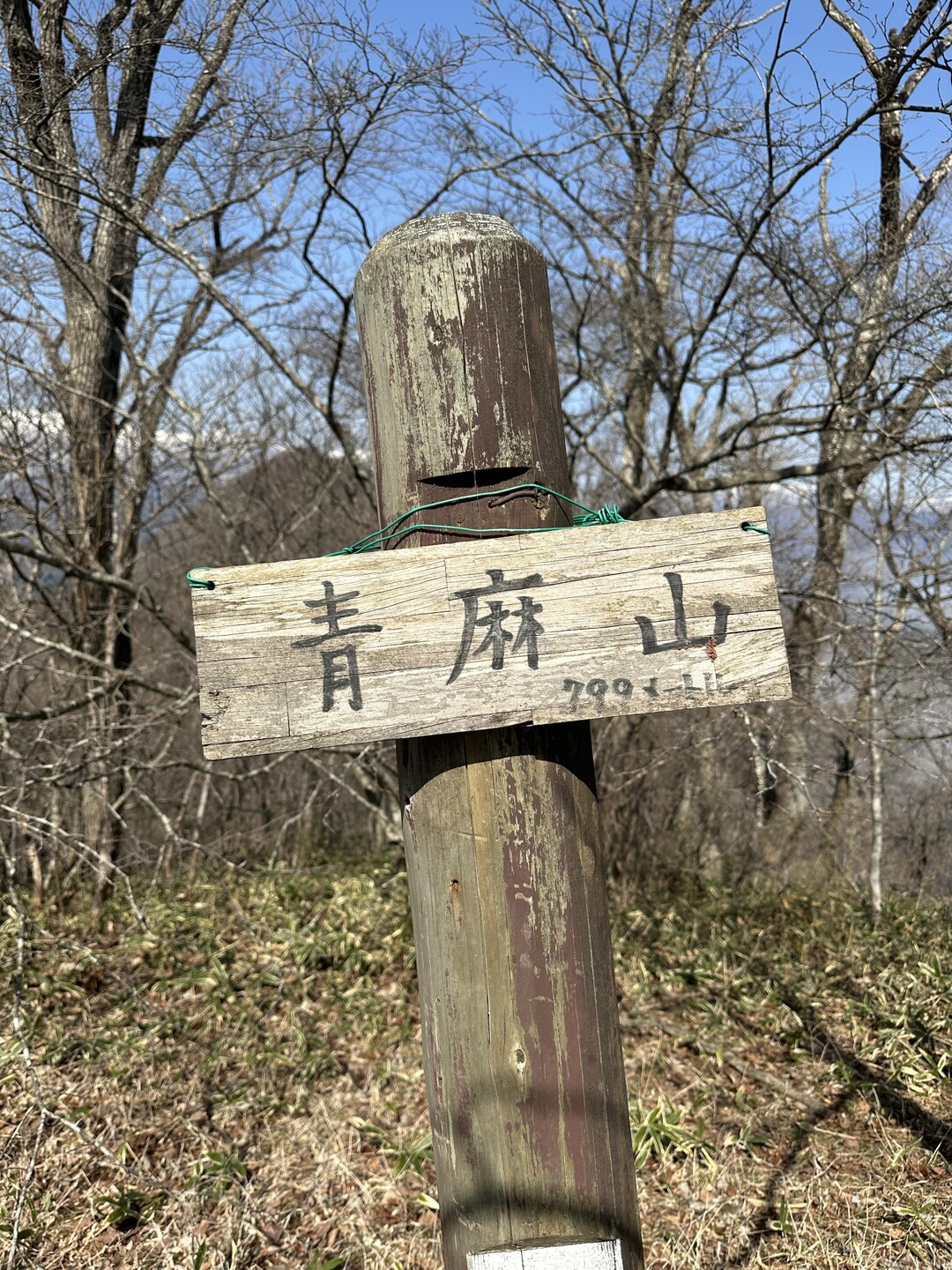 240407 久しぶりの仲間と3回目の登山 / Tosiさんの登山の活動データ | YAMAP / ヤマップ