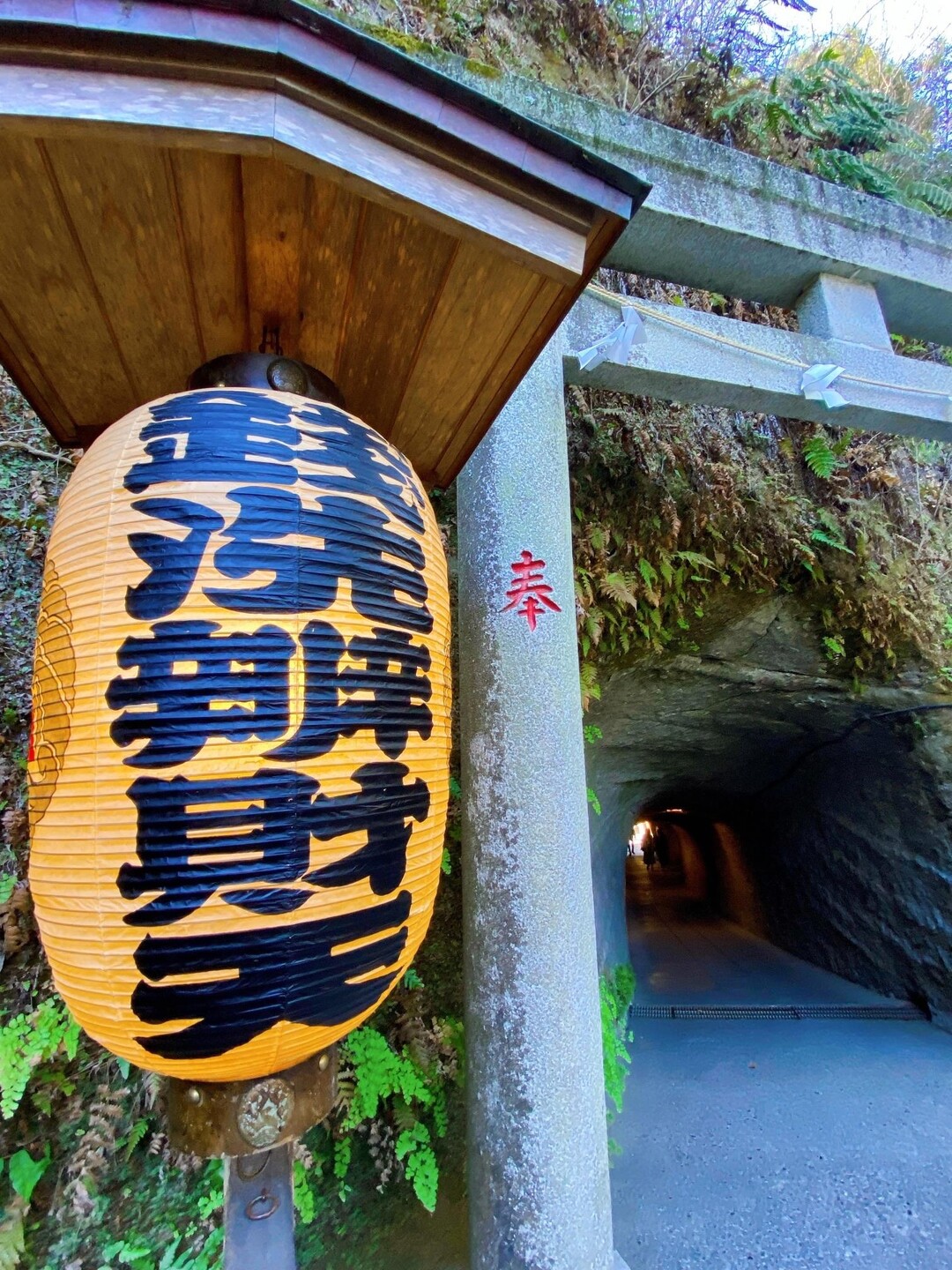 鎌倉アルプス⛰六国見山～源氏山10座1周🚶‍♀️ / Nmamaさんの鎌倉アルプス（大平山・天台山）の活動データ | YAMAP / ヤマップ