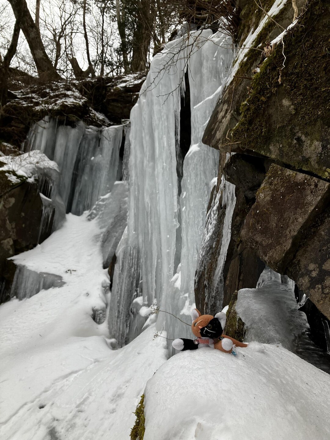 今日も ️雪山 Wの滝 英彦山 / ranrun>^^