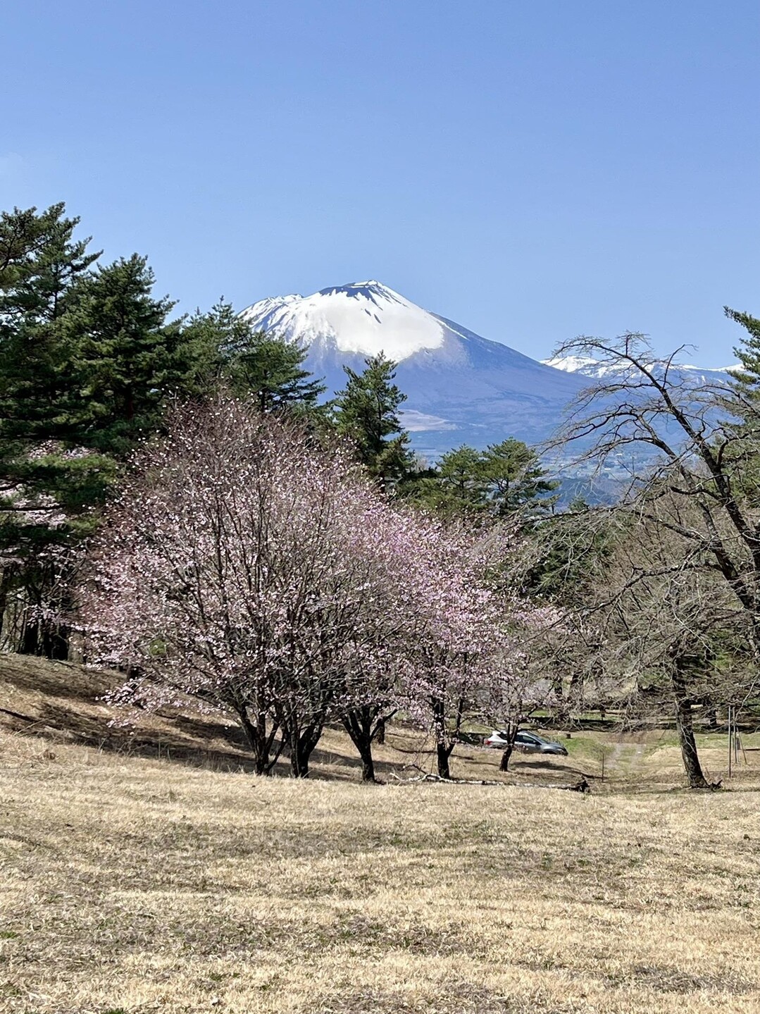 姫神山 / Rayさんの姫神山の活動データ | YAMAP / ヤマップ