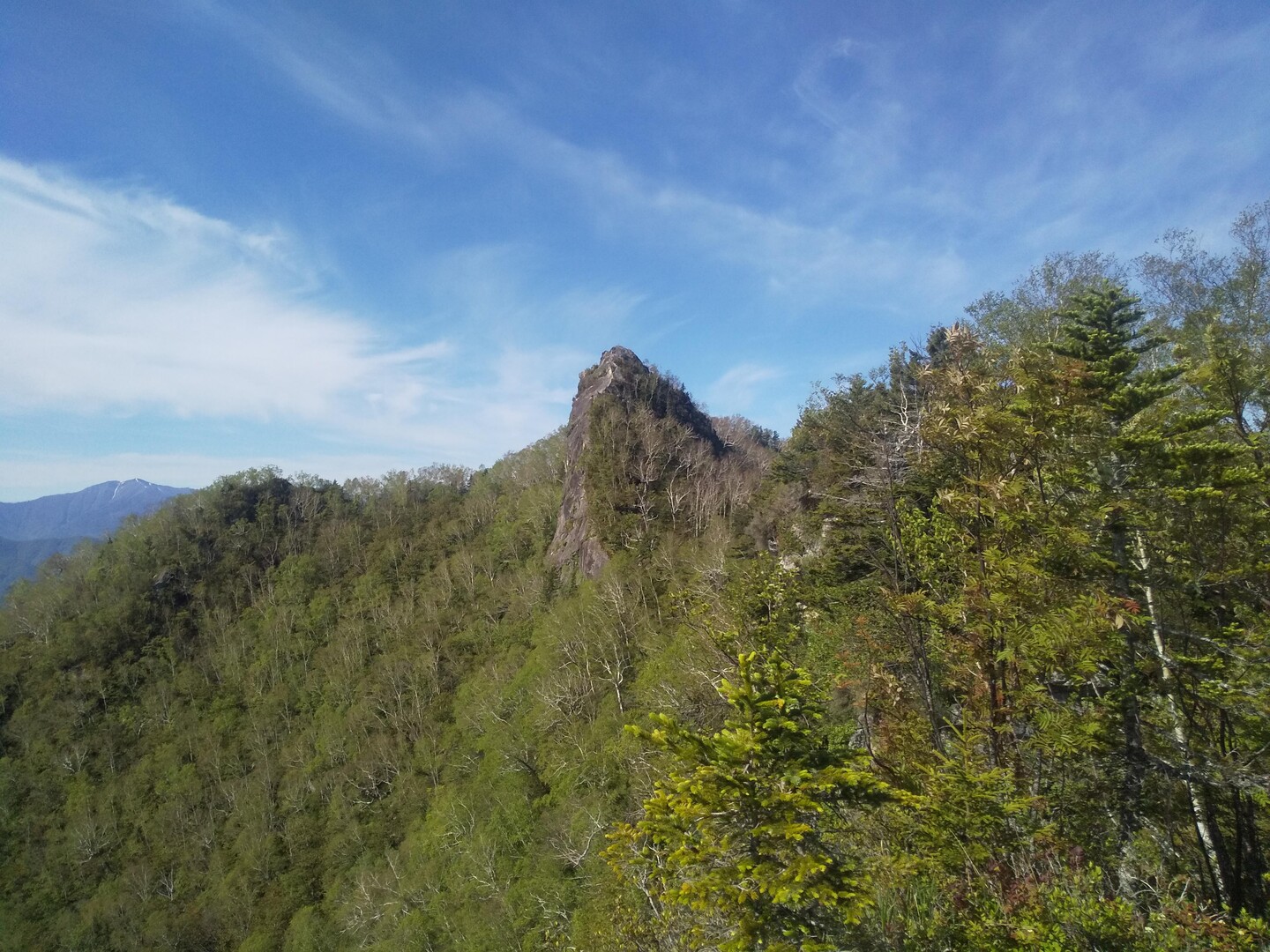 剣山2回 / AKKIさんの芽室岳・久山岳・剣山の活動データ | YAMAP / ヤマップ