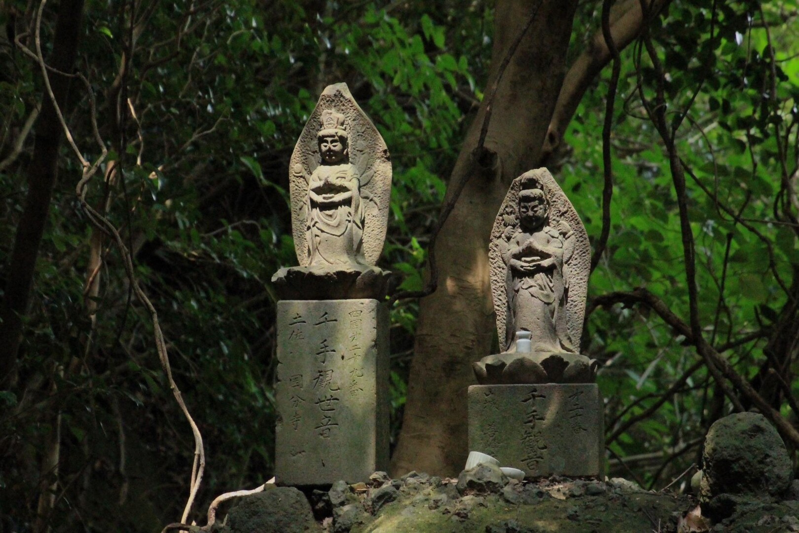 牧ノ山・牧II峰（青牧山）・青螺山・青螺御前・黒髪山・蛇焼山 / じゃまさんの黒髪山・青螺山の活動データ | YAMAP / ヤマップ