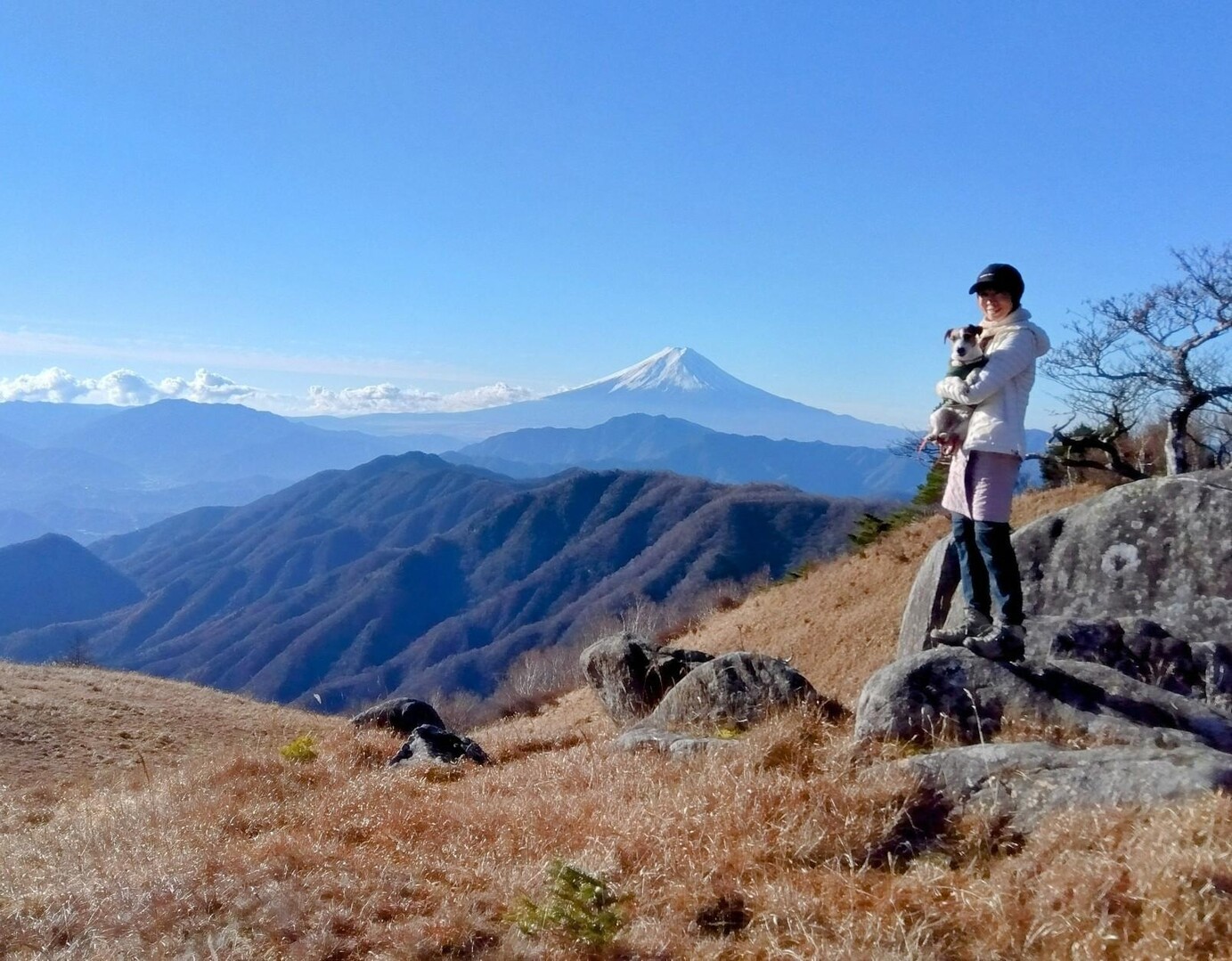 超穴場絶景スポット🗻 ️白谷ノ丸・白谷小丸 / Veenaさんの大菩薩嶺・鶏冠山・大マテイ山の活動データ | YAMAP / ヤマップ