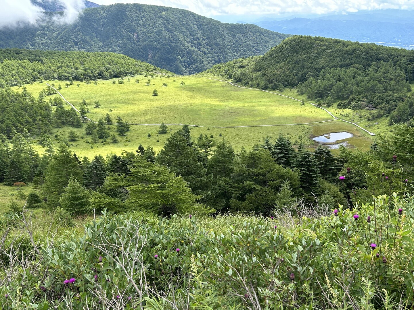 池の平湿原・三方ヶ峰・見晴岳 / sensaさんの湯ノ丸山・角間山・鍋蓋山の活動データ | YAMAP / ヤマップ