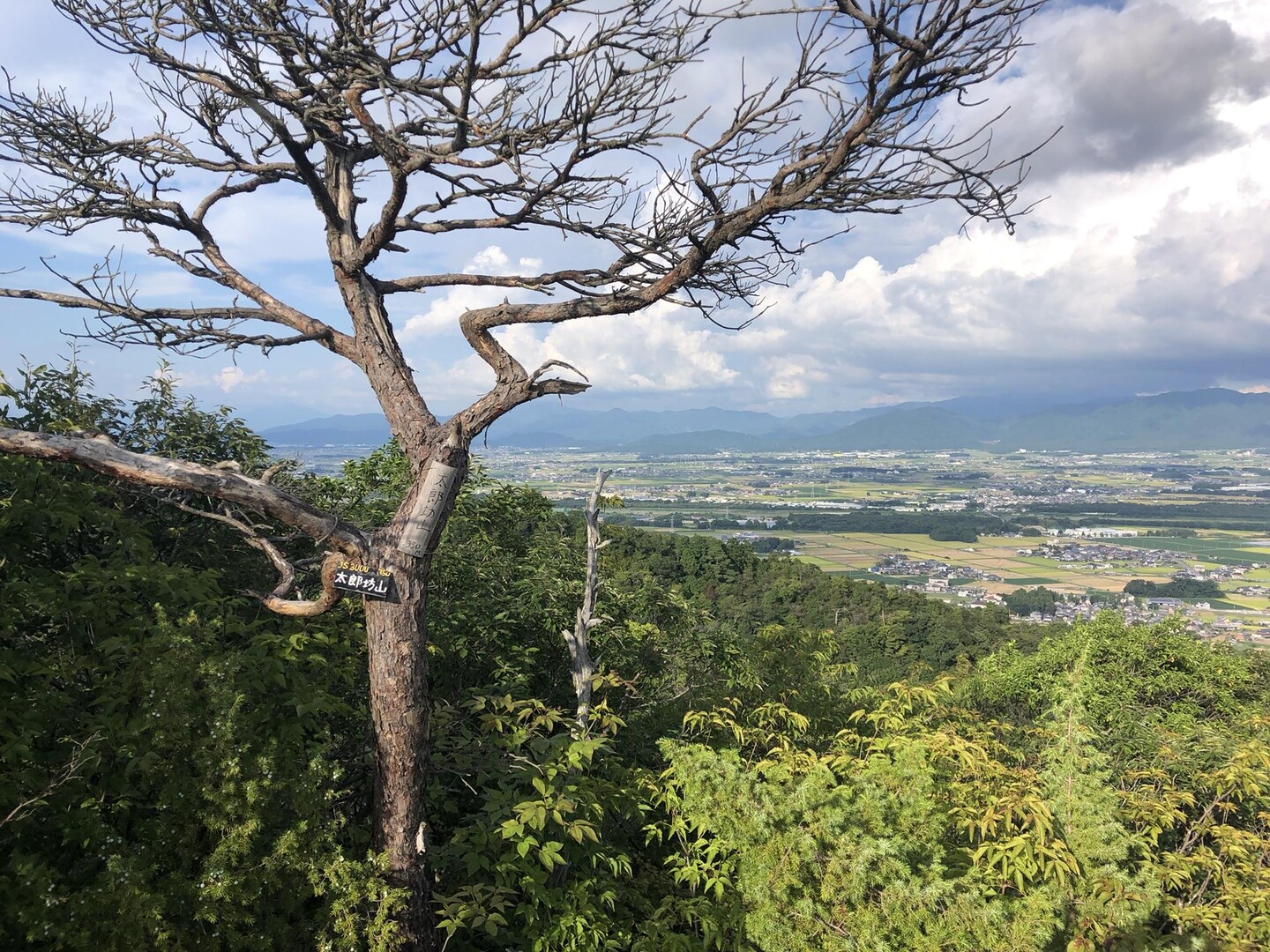 太郎坊山 / Thomasさんの箕作山・太郎坊山の活動データ | YAMAP / ヤマップ