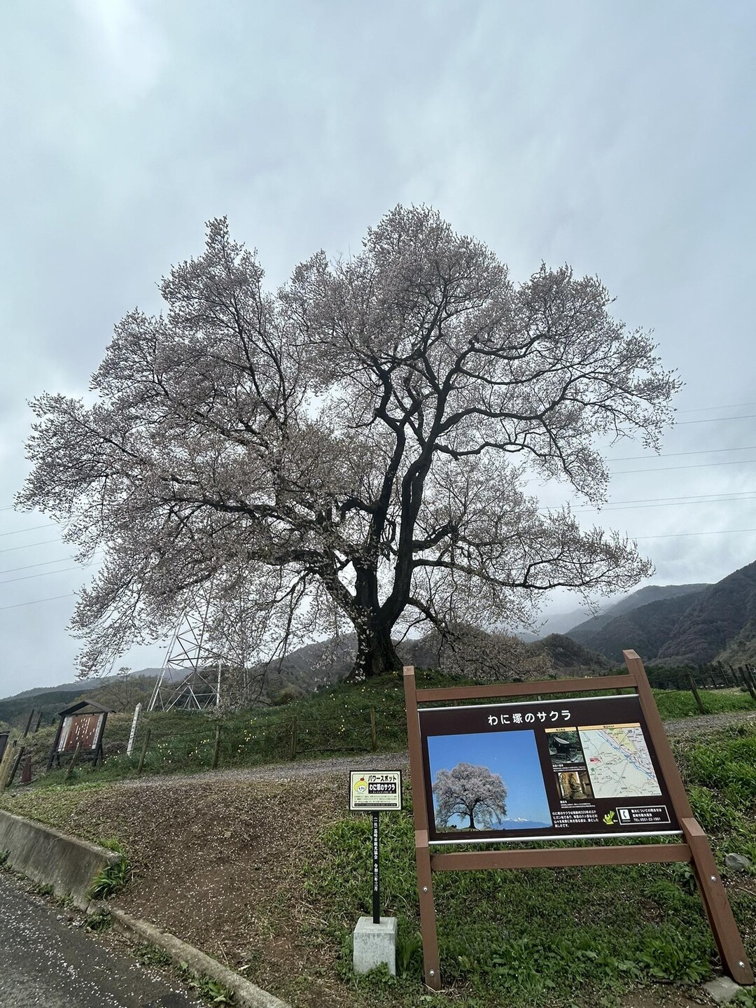 勝手に#母孝行 半分押し付け 笑 毎年... / conyさんのモーメント | YAMAP / ヤマップ