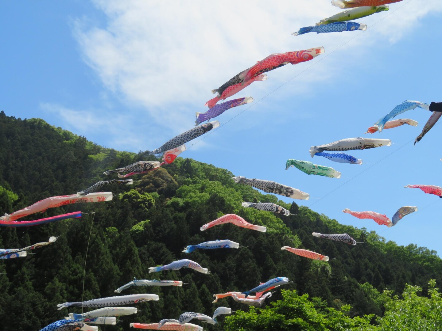 軍刀利山・生藤山 etc【GW特大号⭐️って二日酔い ️】 / やすさんの生藤山の活動データ | YAMAP / ヤマップ