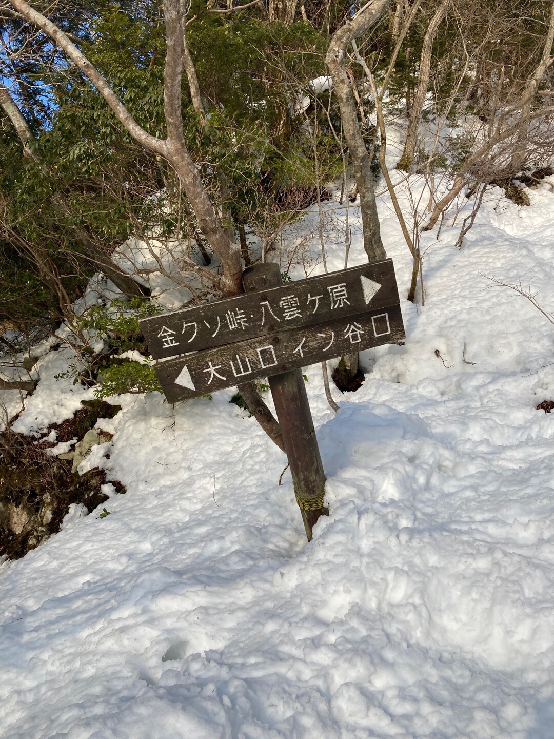 maaasanさんの投稿したフィールドメモ | YAMAP / ヤマップ