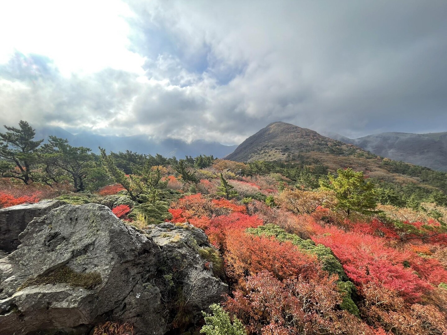 泉水山・上泉水山・黒岩山 / sho-_-jiさんの九重山（久住山）・大船山・星生山の活動データ | YAMAP / ヤマップ