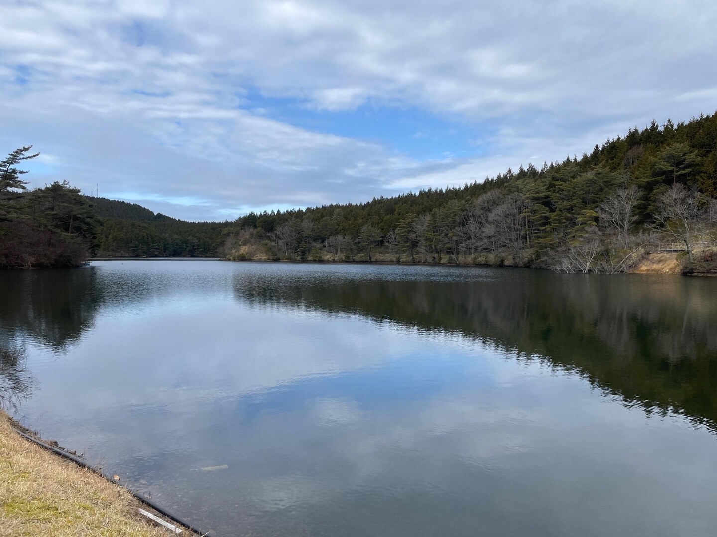 保古山 / kato8686さんの保古山の活動データ | YAMAP / ヤマップ