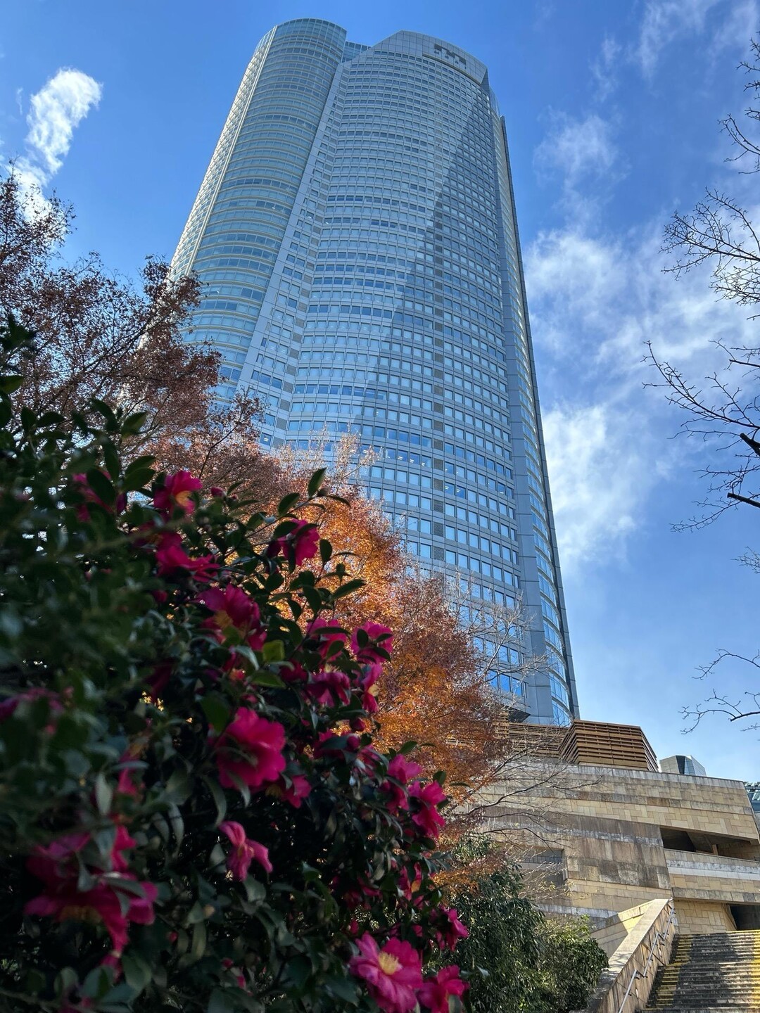 連日のイベント終了です🫠 / minirollさんの東京都23区 中央エリアの活動データ | YAMAP / ヤマップ