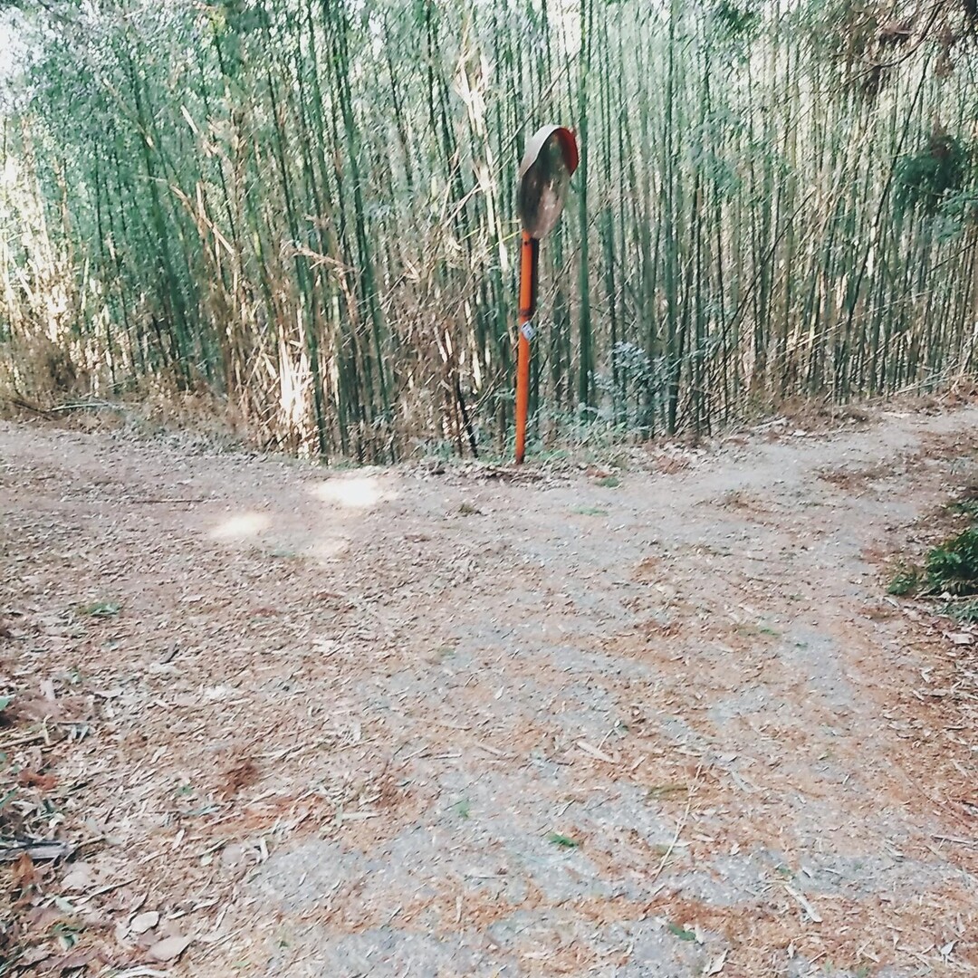 泉人さんの投稿したフィールドメモ | YAMAP / ヤマップ