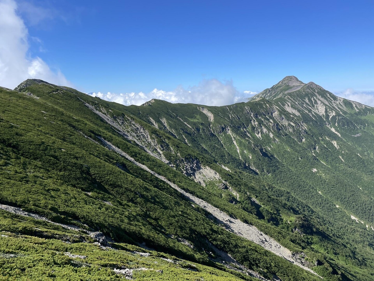 ぼくのなつやすみ2024 第四弾 これが... / イッチー☆GFチャンネルさんのモーメント | YAMAP / ヤマップ