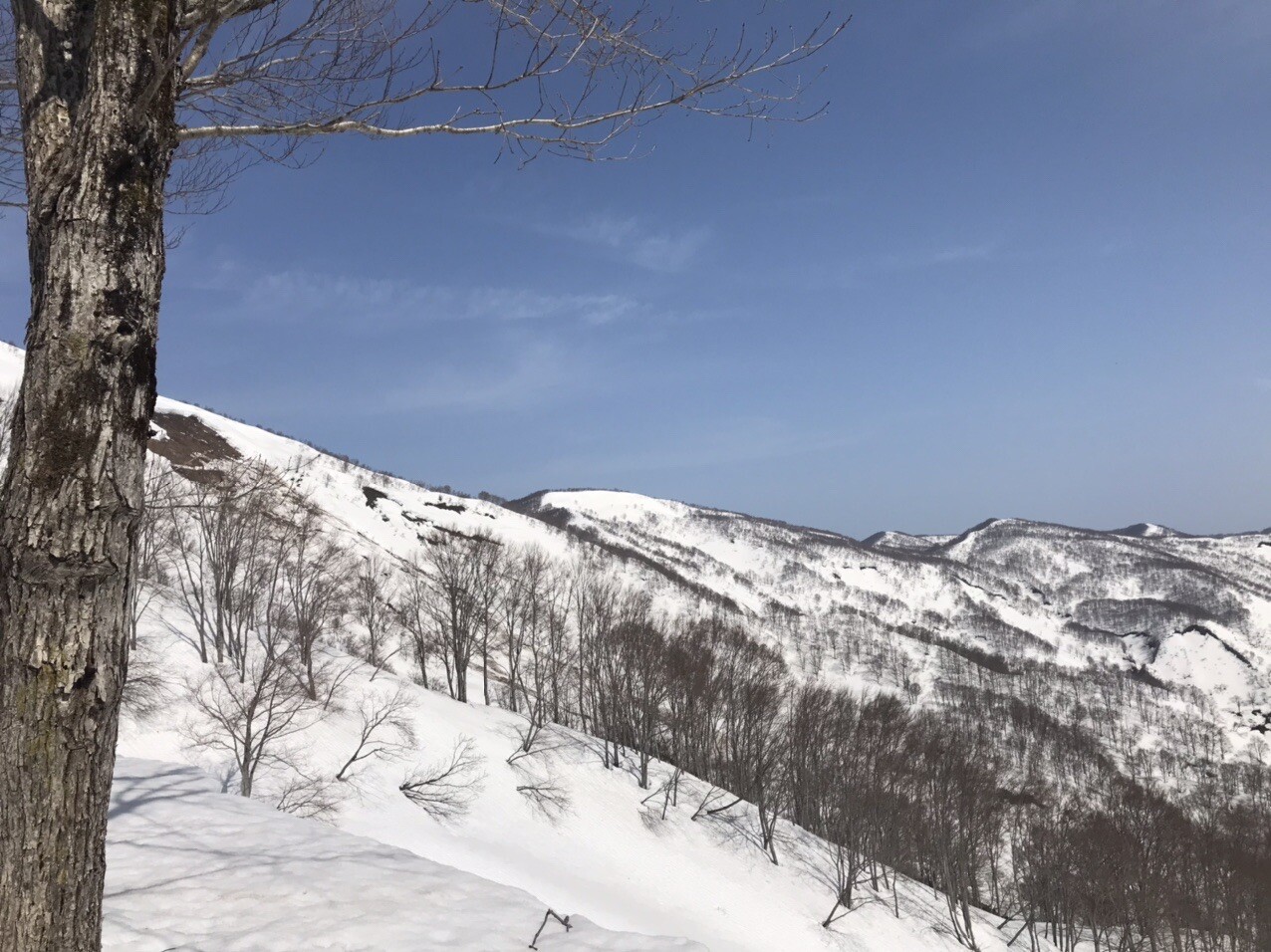 妙高 矢代山地 BCスキー2021-03-20 / shinさんのウォーキングの活動データ | YAMAP / ヤマップ