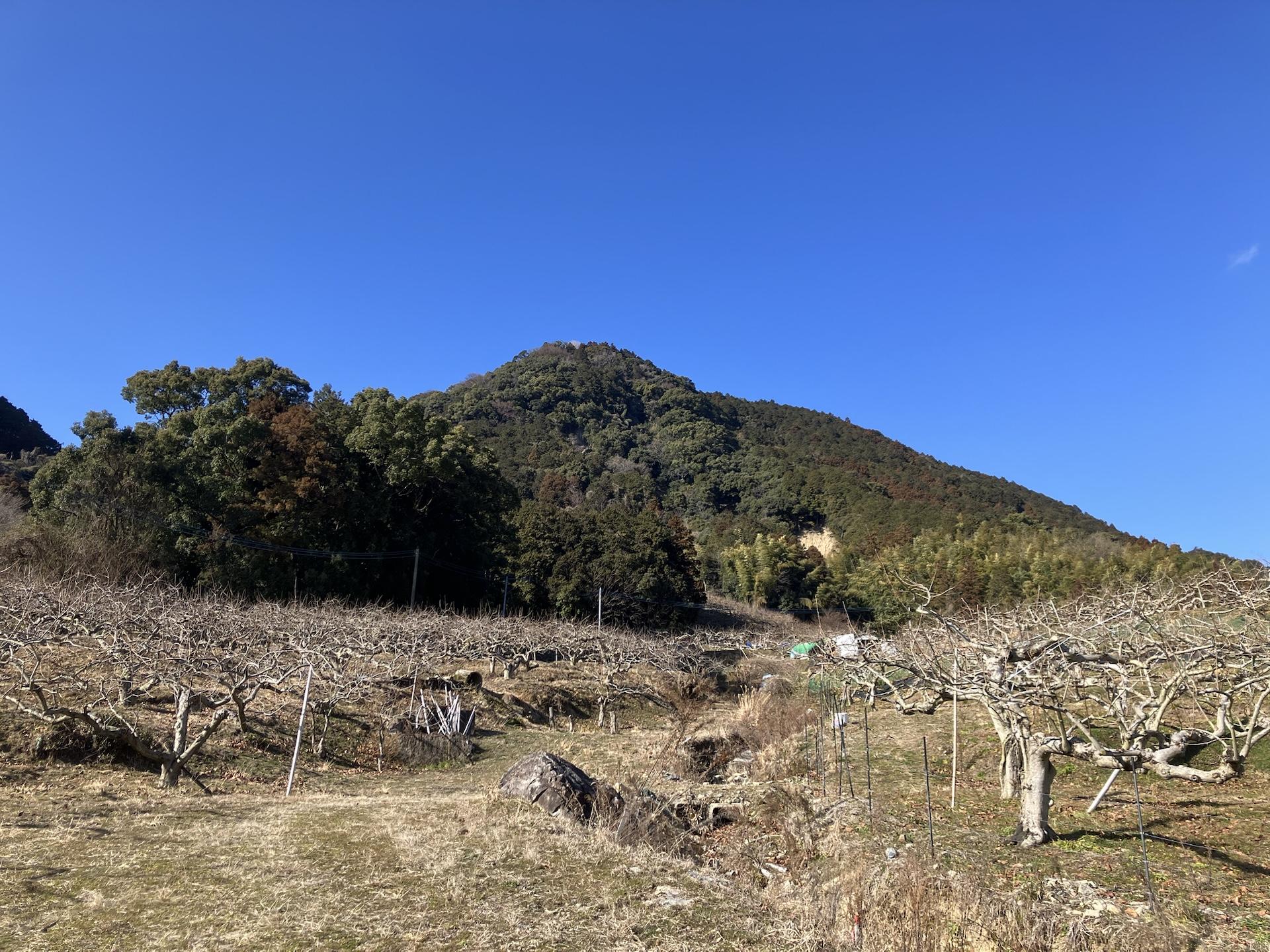 初めての 麻底良山 / motomickyさんの麻底良山の活動データ | YAMAP / ヤマップ