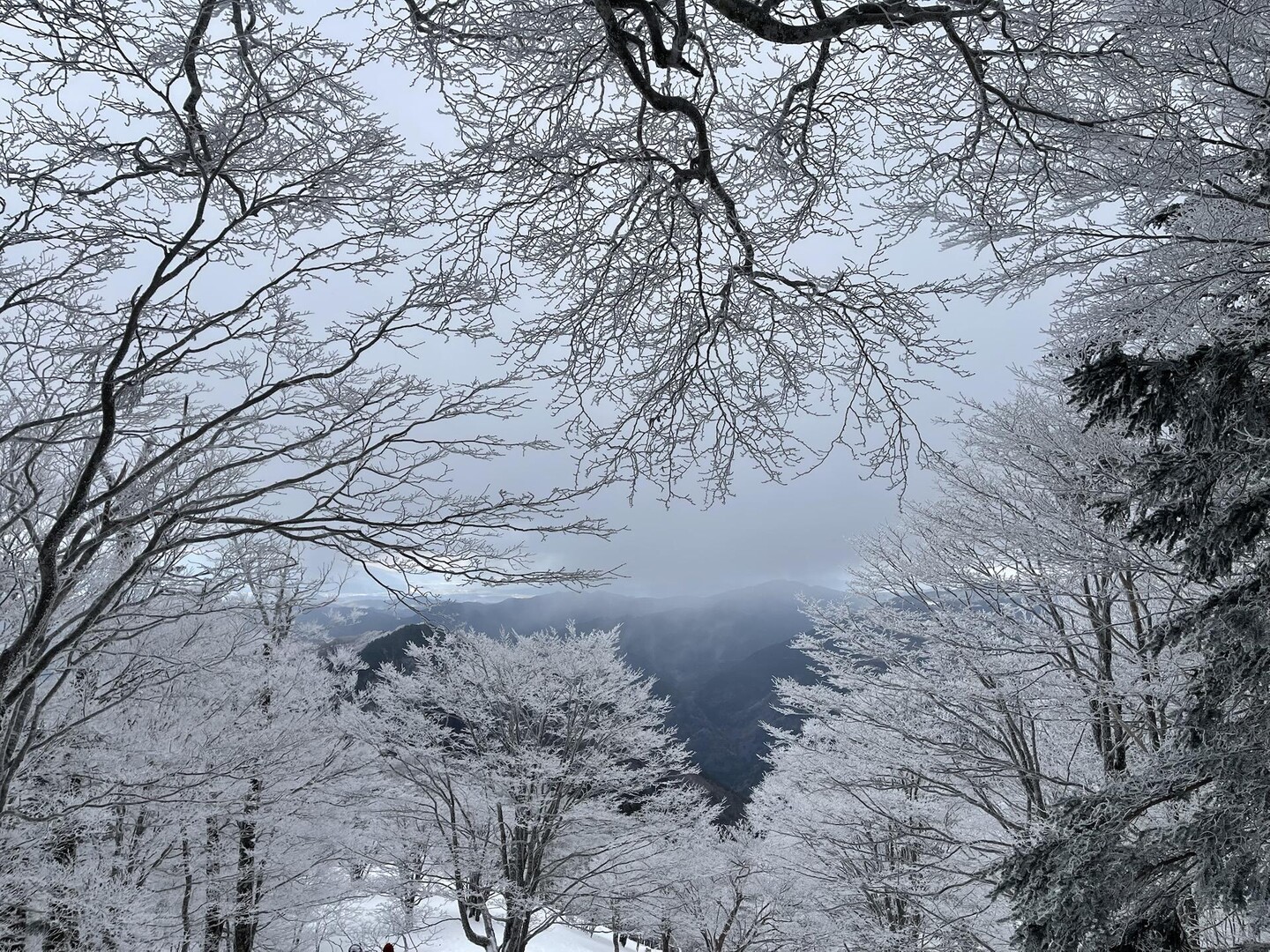 冬が来たなぁ〜 ️ 天女の頂 / mojaさんの八経ヶ岳の活動データ | YAMAP / ヤマップ