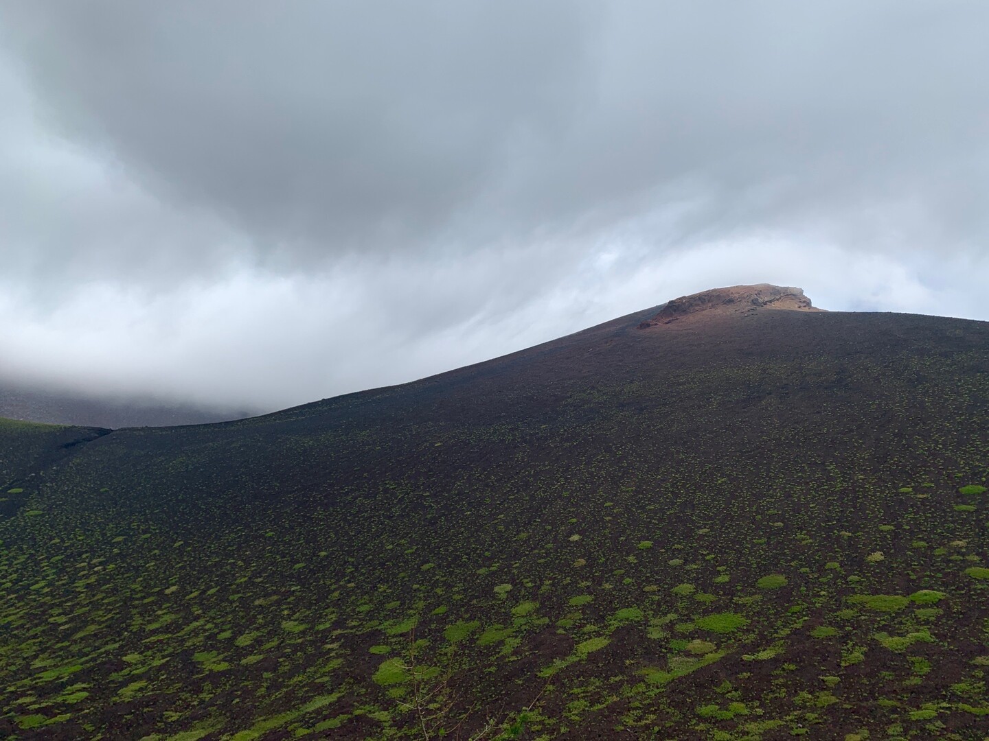 黒猫のTomさんの投稿したフィールドメモ | YAMAP / ヤマップ