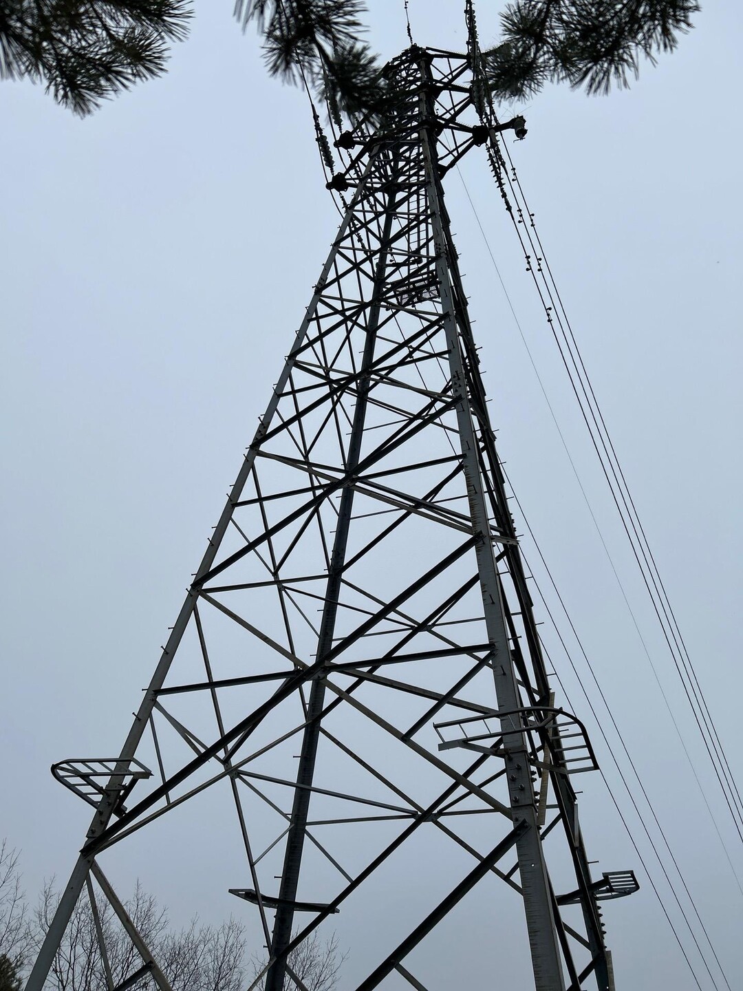 鳩吹山③ / 鳩BOYさんの鳩吹山の活動データ | YAMAP / ヤマップ