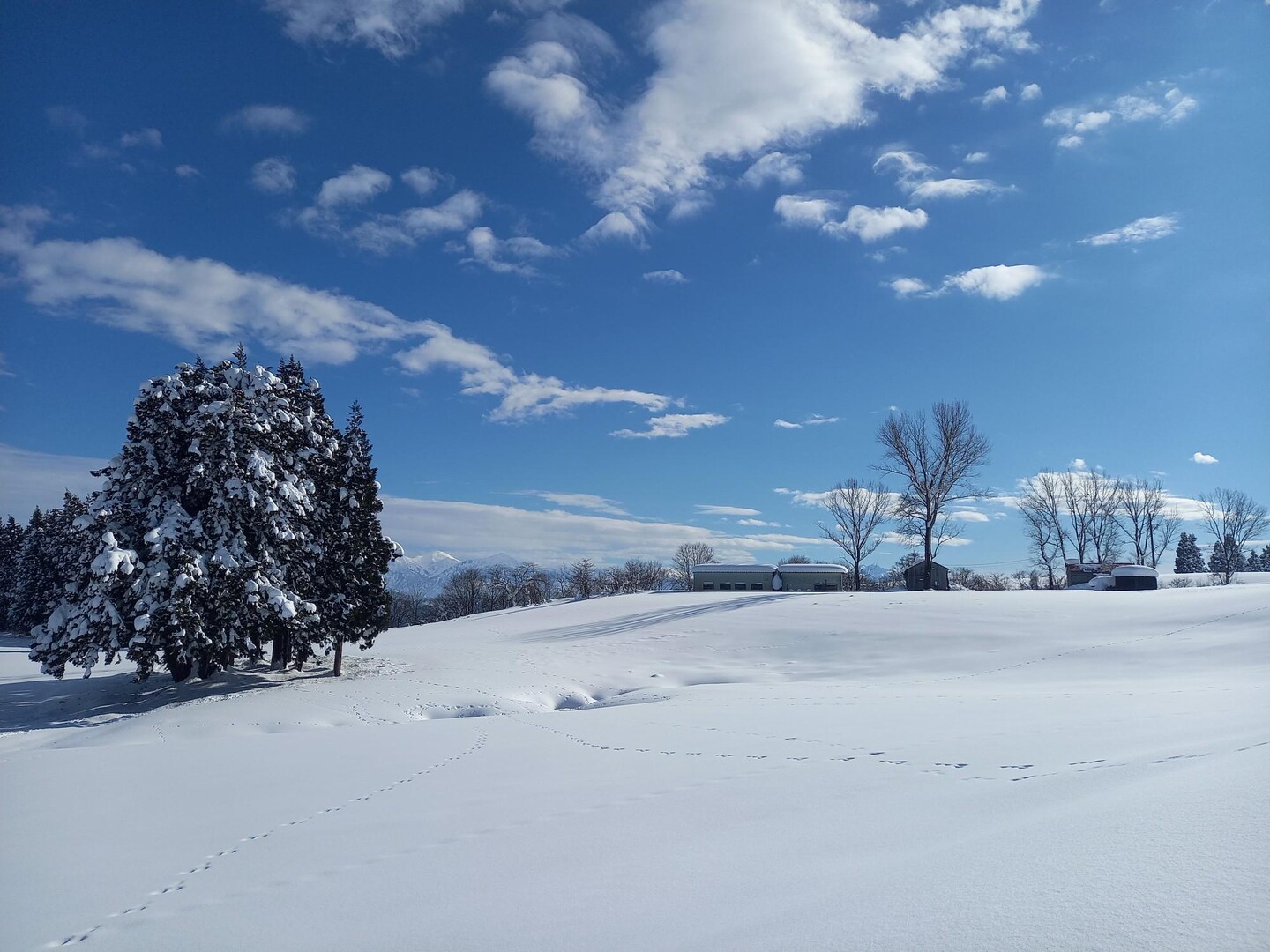 山本山 ️2024-12-30 / ukiさんの山本山の活動日記 | YAMAP / ヤマップ