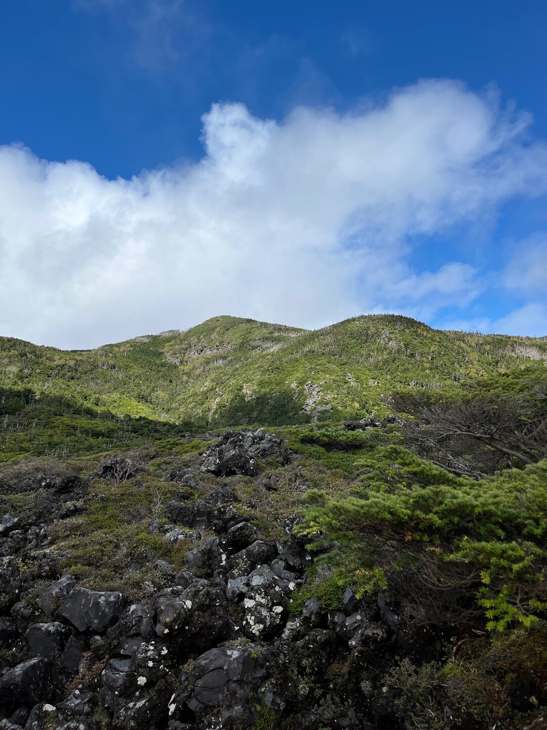 北横岳（南峰）・北横岳（北峰） / konyan さんの蓼科山・横岳・縞枯山の活動データ | YAMAP / ヤマップ
