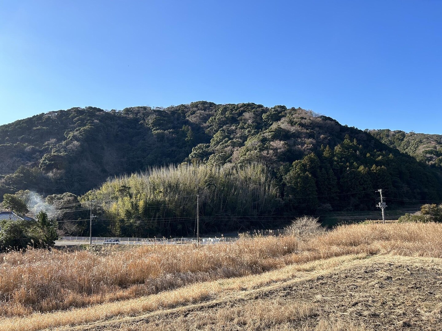 カラスバ山 / CAT😺GPTさんの烏場山・花嫁街道・高鶴山の活動データ | YAMAP / ヤマップ