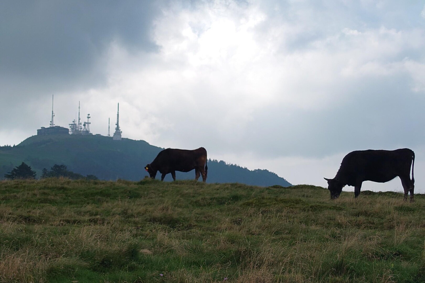 王ヶ鼻・美ヶ原（王ヶ頭） / eunos.kkさんの美ヶ原の活動データ | YAMAP / ヤマップ