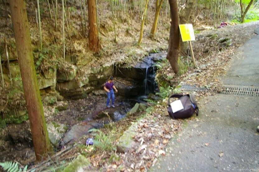 広島 武田山（1） / Kanameさんの広島市の活動データ | YAMAP / ヤマップ