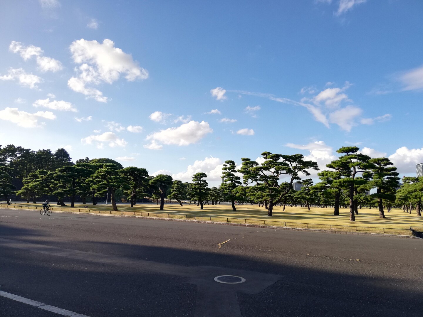 今週は走ったぞ 皇居RUN-2023-08-10 / RUN-maruさんのランニングの活動データ | YAMAP / ヤマップ