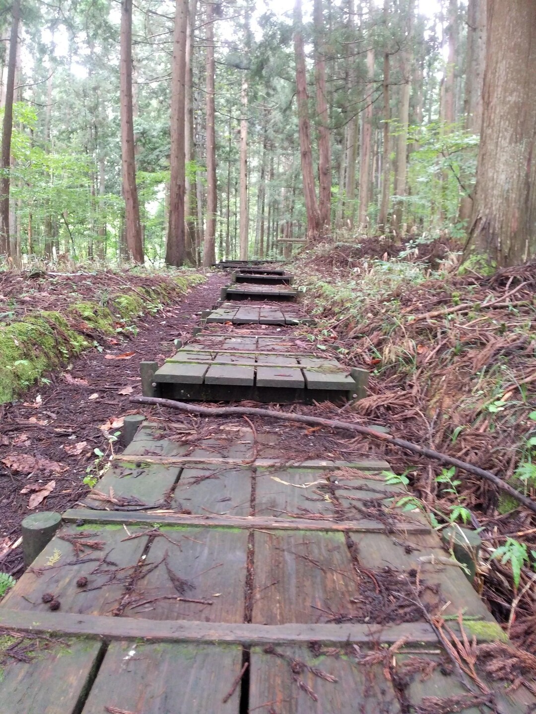 鬼ヶ岳 / opal糸さんの鬼ヶ岳の活動データ | YAMAP / ヤマップ