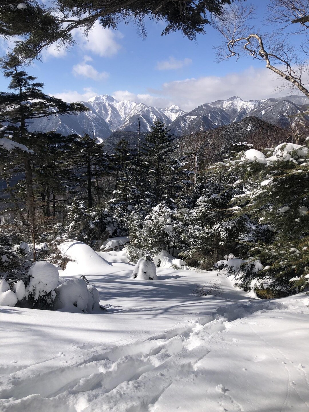 山王帽子山 / Yasさんの男体山の活動データ | YAMAP / ヤマップ