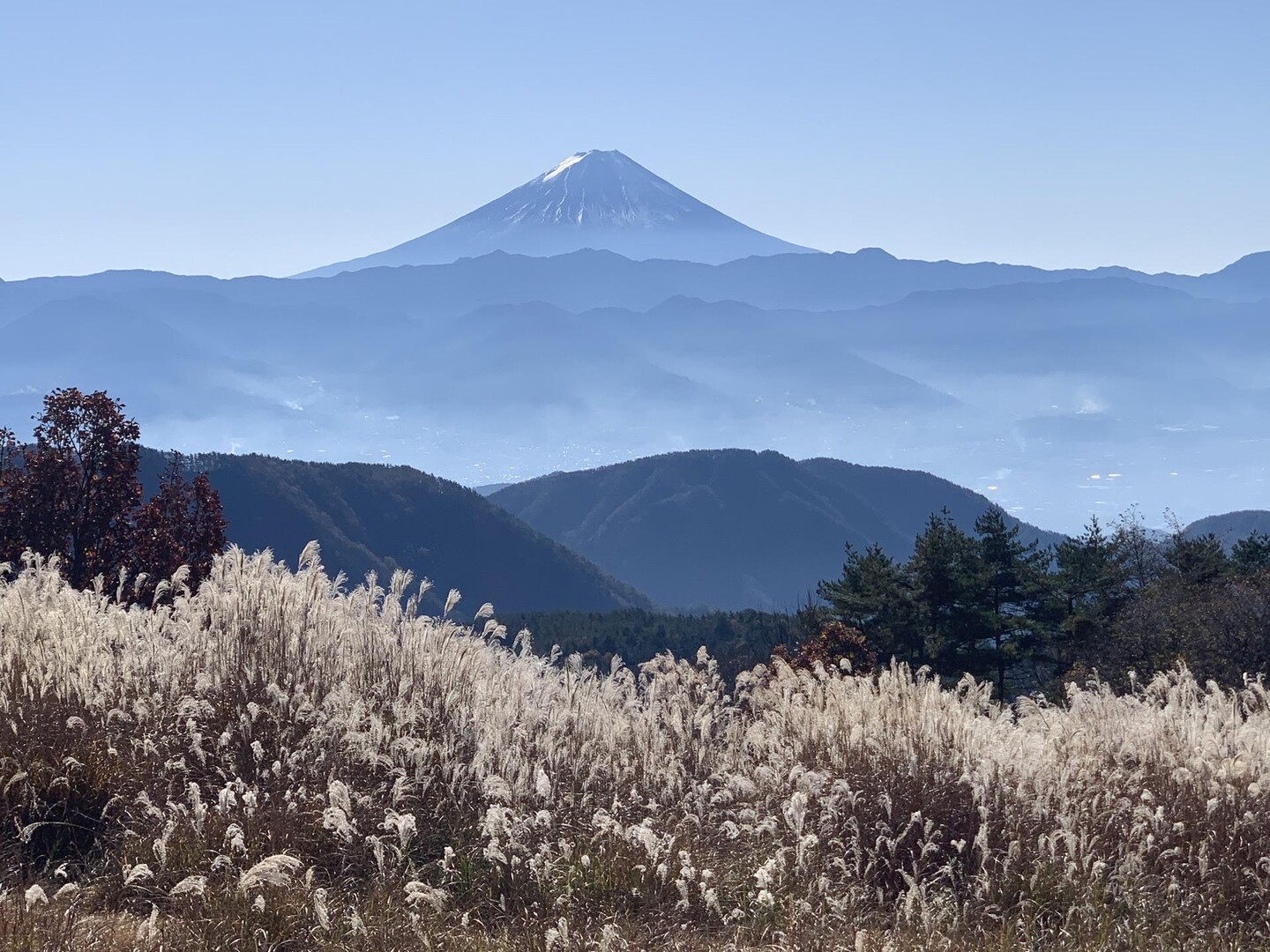 R5.11.16① 帯那山・奥帯那山・見越山 / あおかつさんの帯那山の活動日記 | YAMAP / ヤマップ