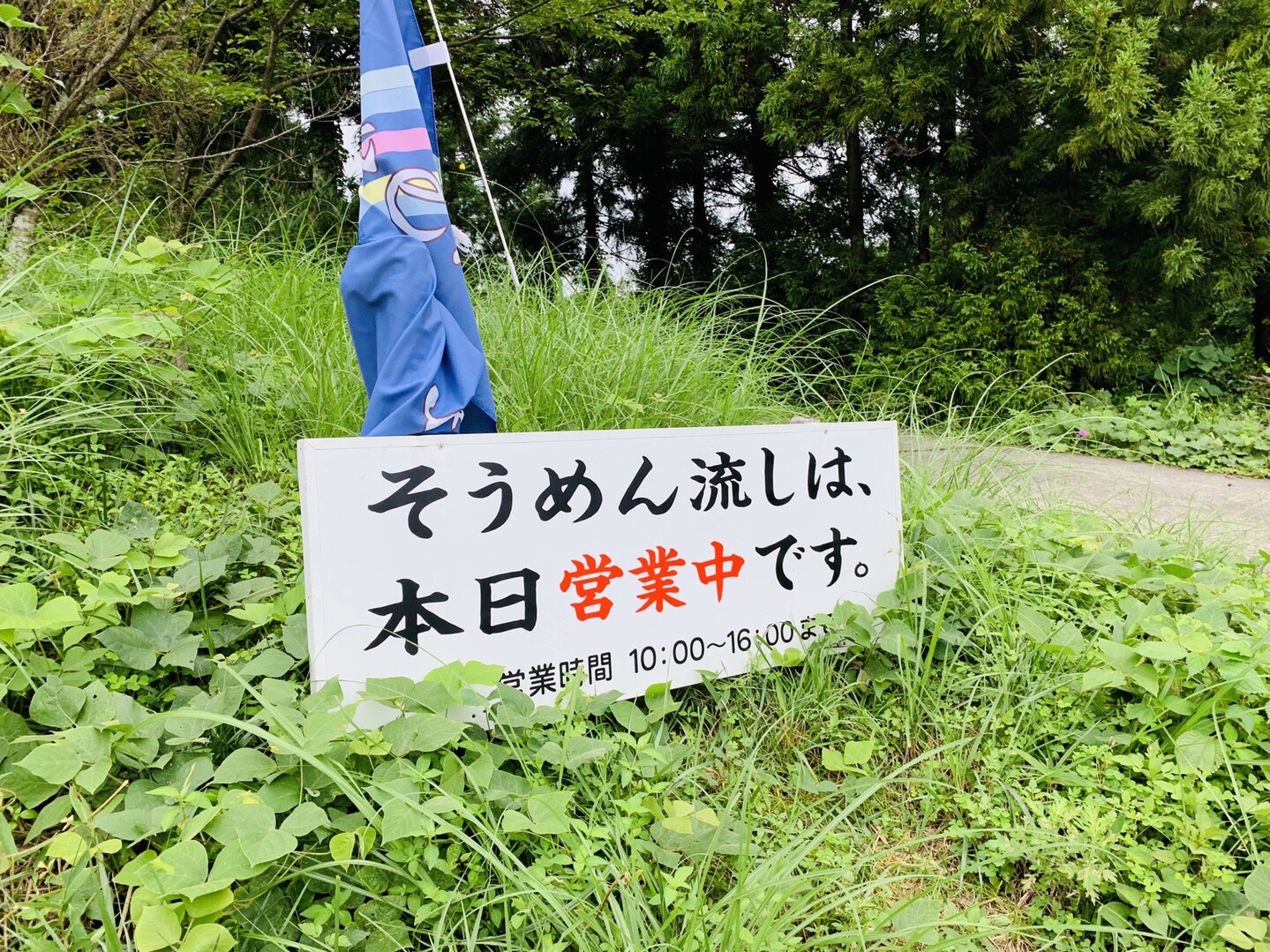 皿ヶ嶺、引地山-2019 8/25 / ゆか．Westさんの皿ヶ嶺・梅ヶ谷山・うなめごの活動データ | YAMAP / ヤマップ