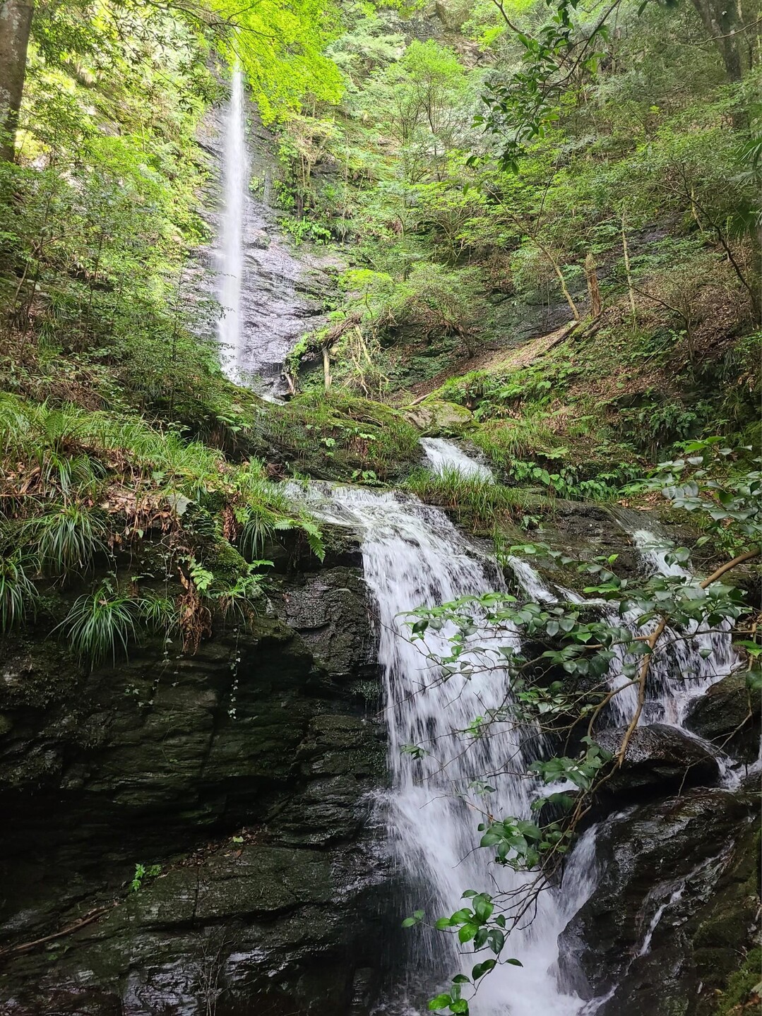 三角寺～仙龍寺奥ノ院 / jnkさんの四国遍路その18の活動日記 | YAMAP / ヤマップ