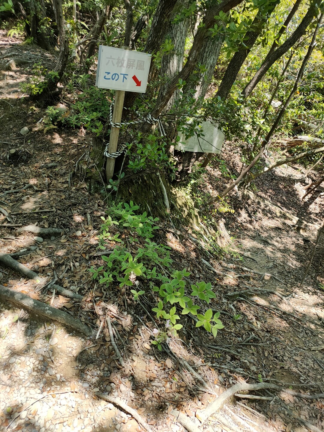 Mamincoさんの投稿したフィールドメモ | YAMAP / ヤマップ