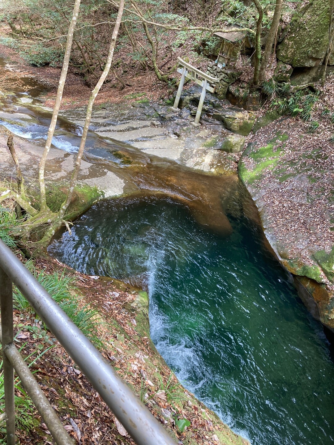 linさんの投稿したフィールドメモ | YAMAP / ヤマップ