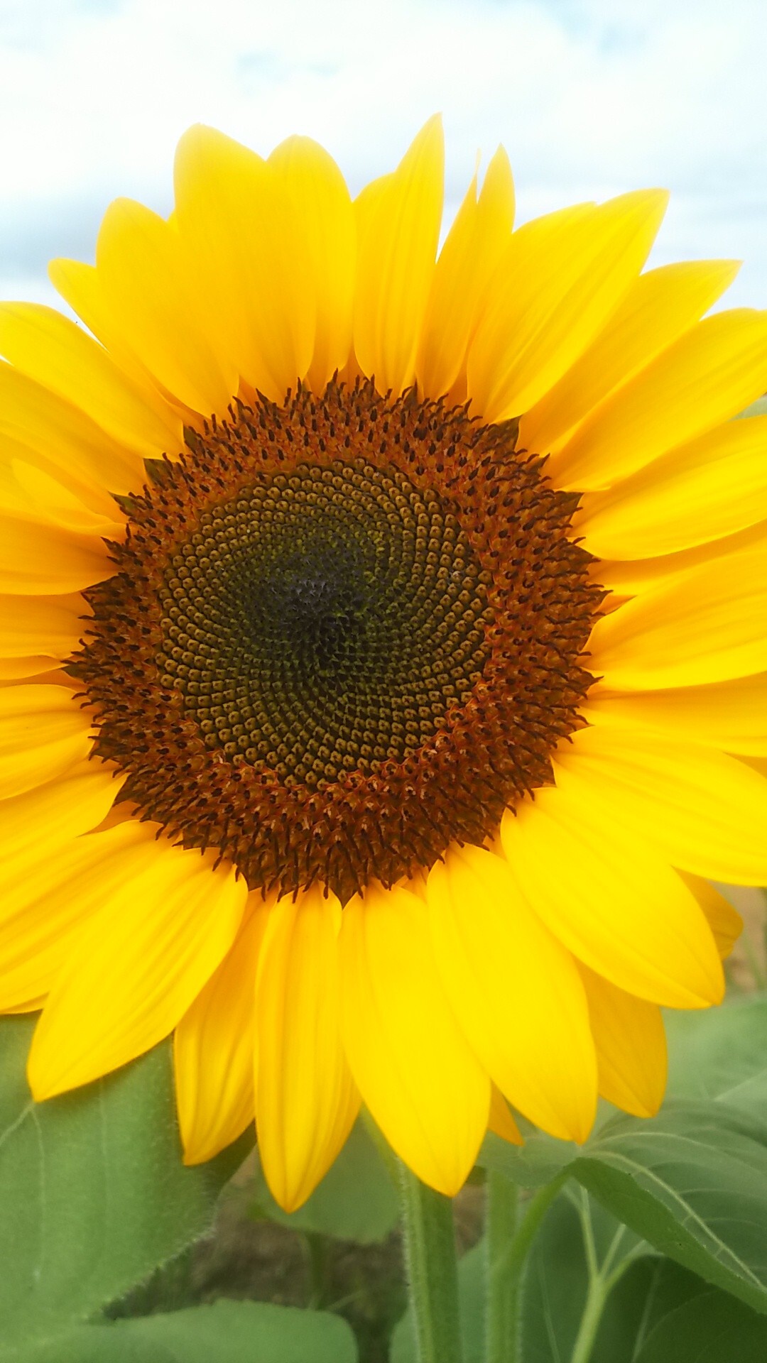 moenoeのページ | YAMAP / ヤマップ