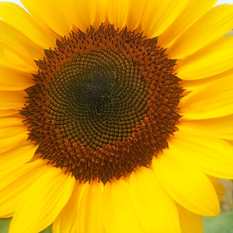 moenoeのページ | YAMAP / ヤマップ