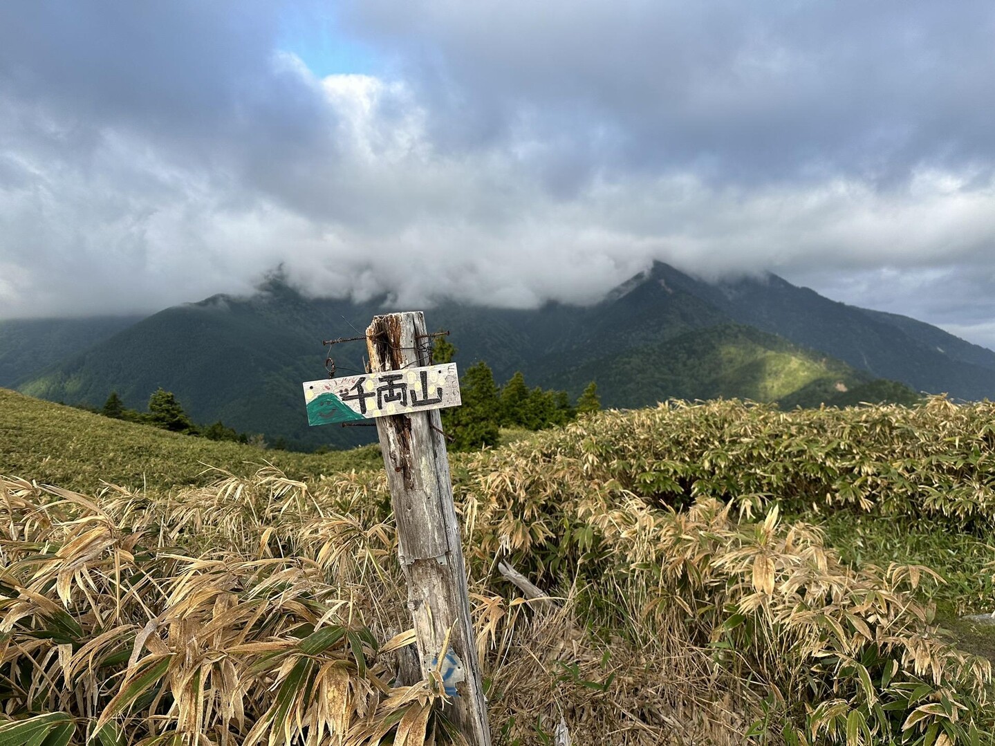 神坂峠より恵那山ピストン / RAY(Ray Channel)さんの恵那山・大判山・神坂山の活動データ | YAMAP / ヤマップ