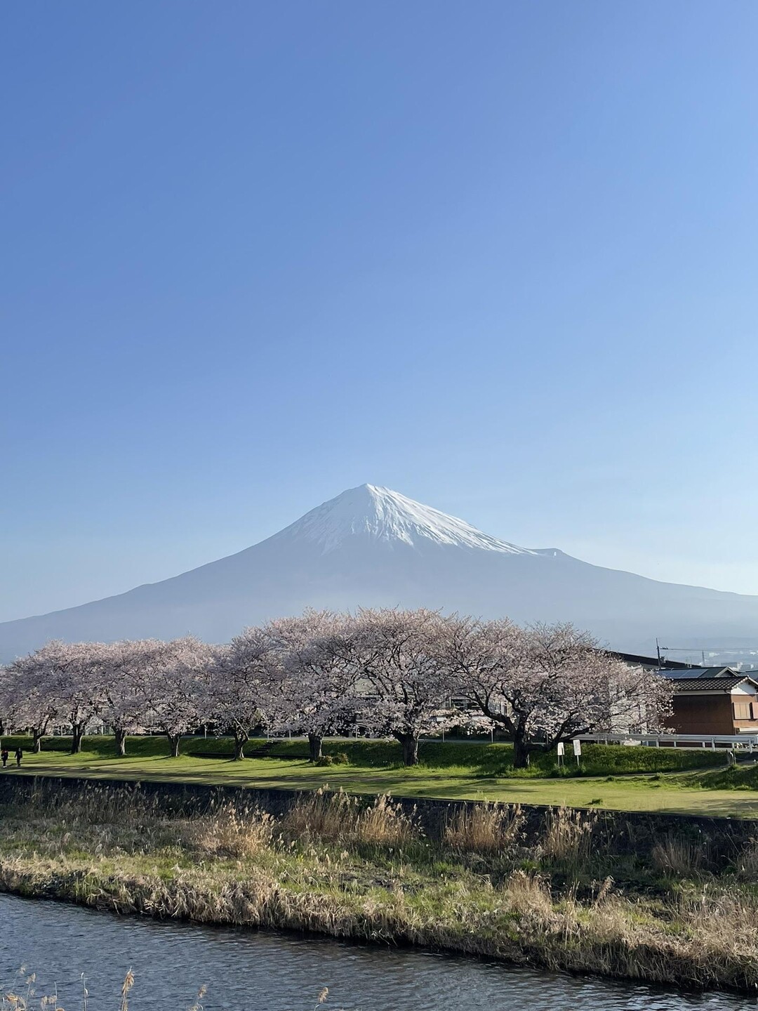 今日の富士山🗻 / 豚足さんのモーメント | YAMAP / ヤマップ