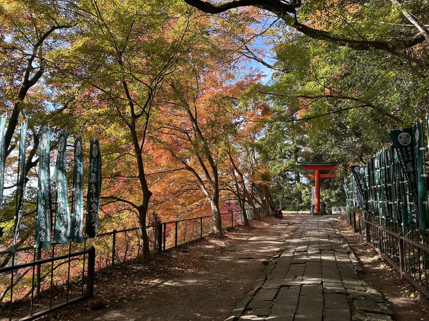 鳳来寺山・瑠璃山 / yuriさんの宇連山・鳳来寺山・岩古谷山の活動データ | YAMAP / ヤマップ