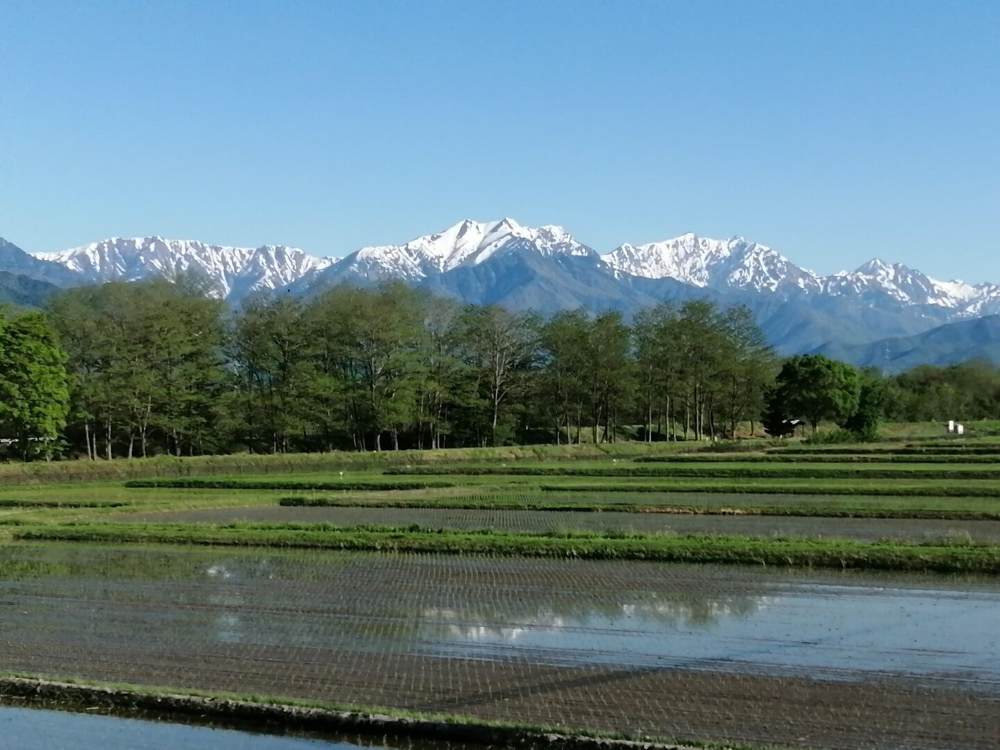 快晴です☀️気持ちいい朝😆仕事頑張ろう... / YUMI 🍄さんのモーメント | YAMAP / ヤマップ