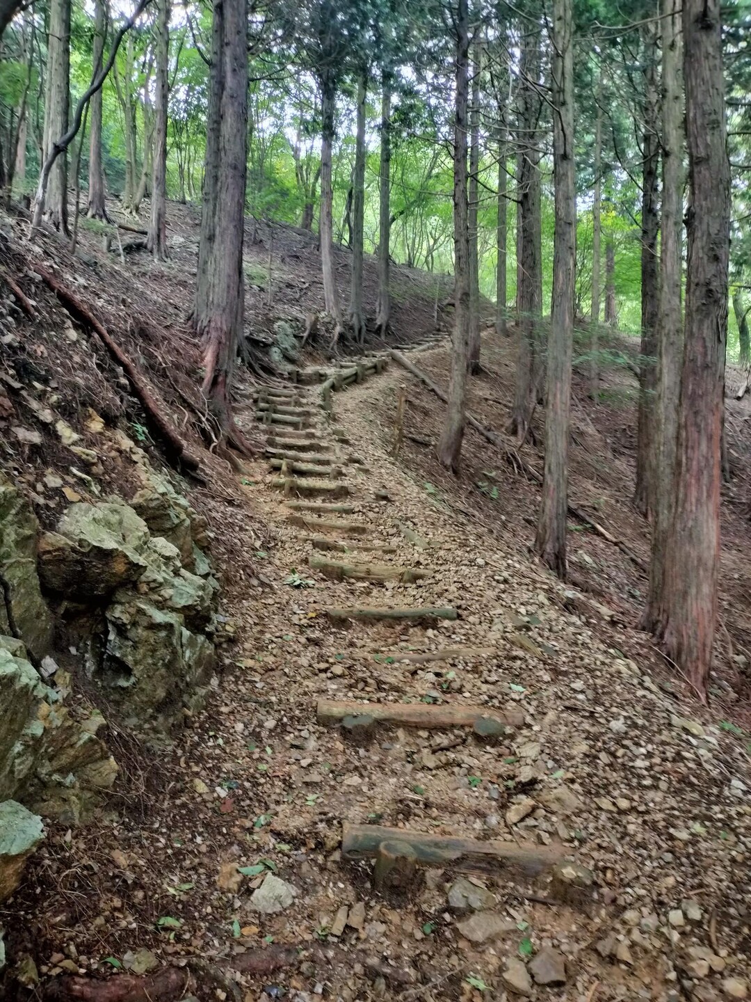 三方山・小倉山・養老山 / mizuさんの養老山・笙ヶ岳・三方山の活動データ | YAMAP / ヤマップ
